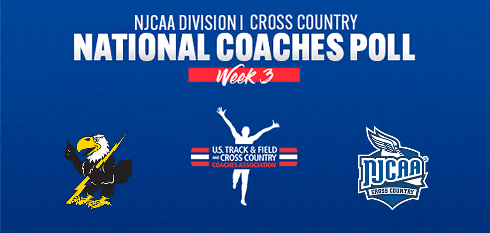 T-Bird Cross Country Teams Hold Steady In Latest USTFCCCA NJCAA ...