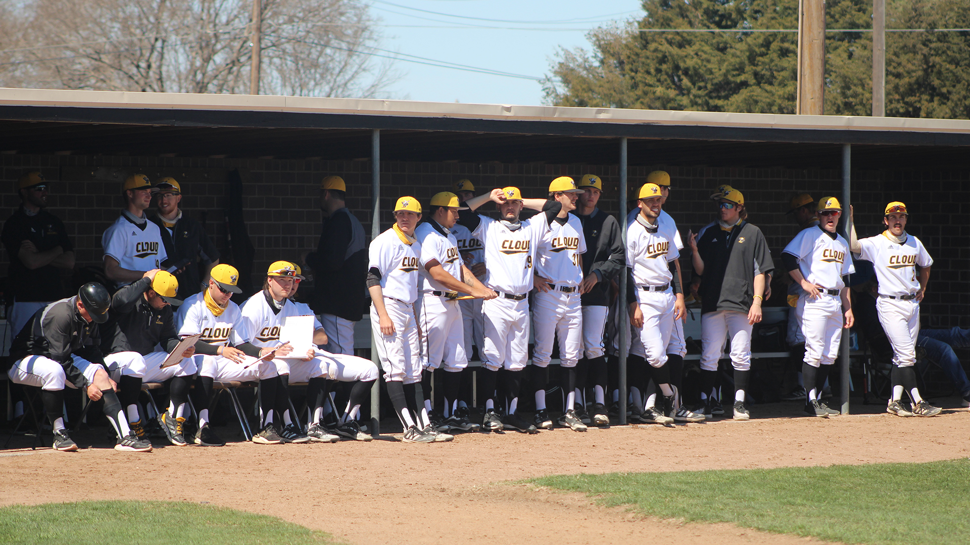 Cloud County Baseball Season Ends In Region VI Sub-Regional Round ...