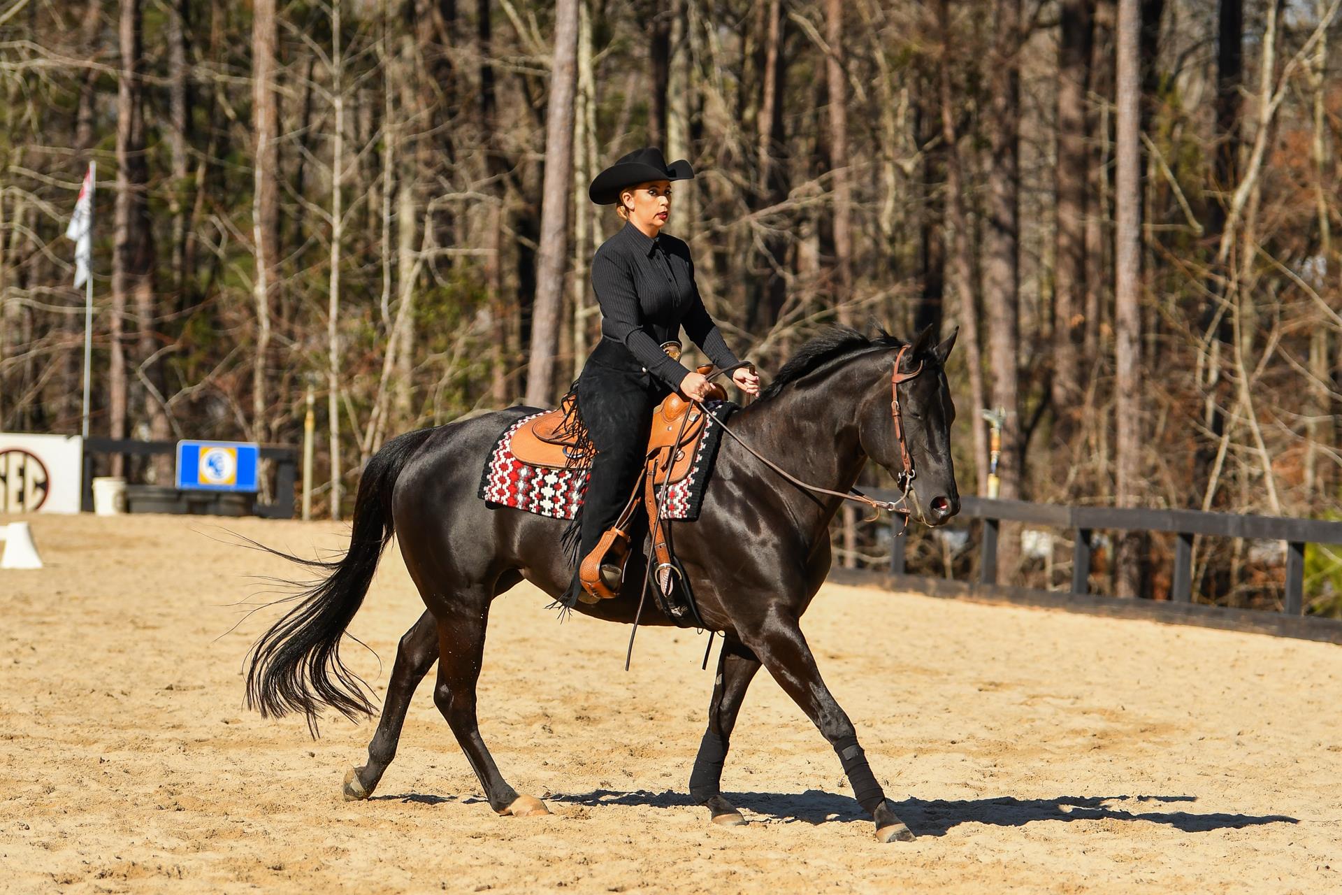 NCEA announces October Signature Academic Standout Athlete of the Month ...