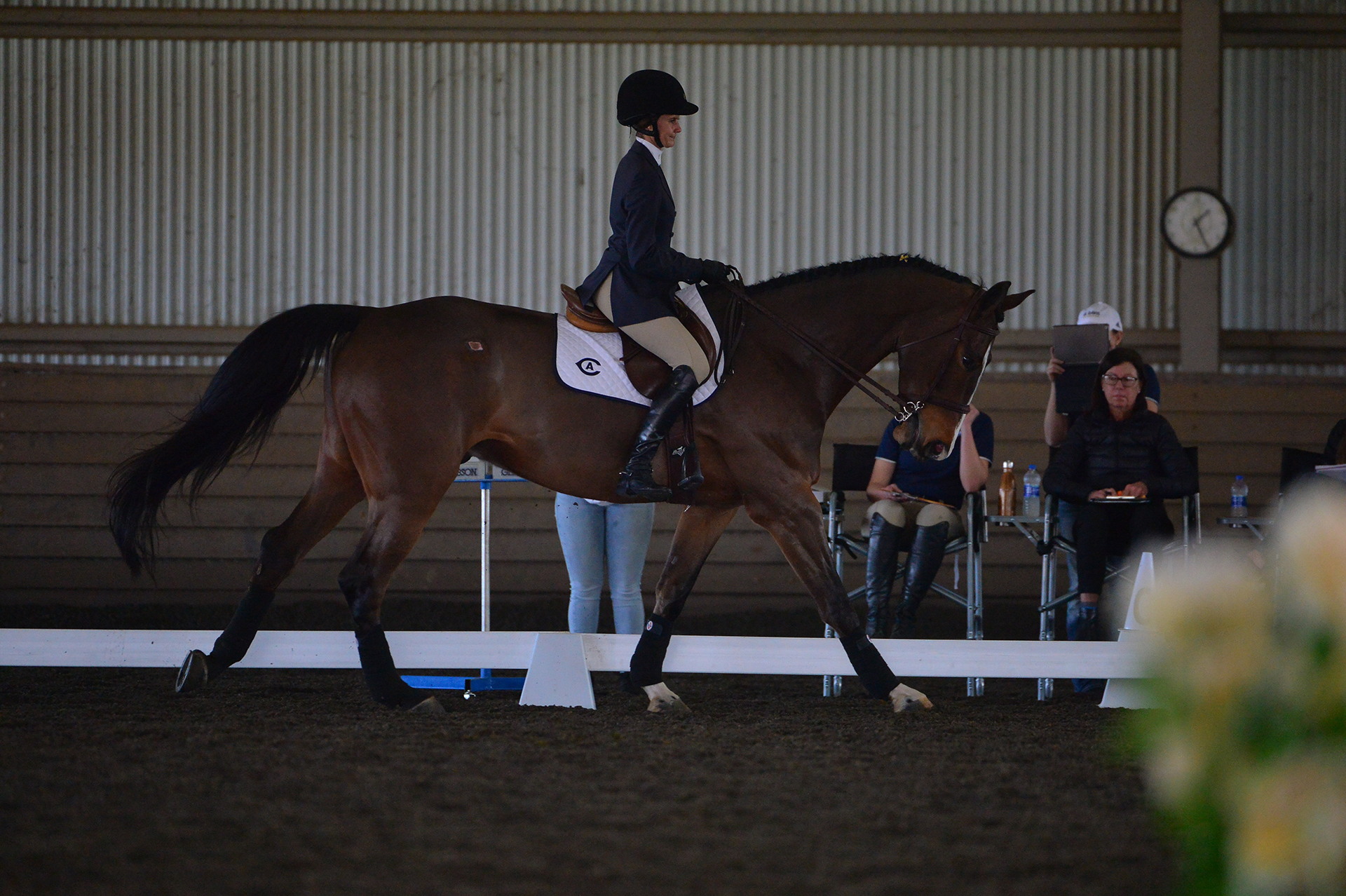 NCEA announces March Signature Academic Standout Athlete of the Month ...