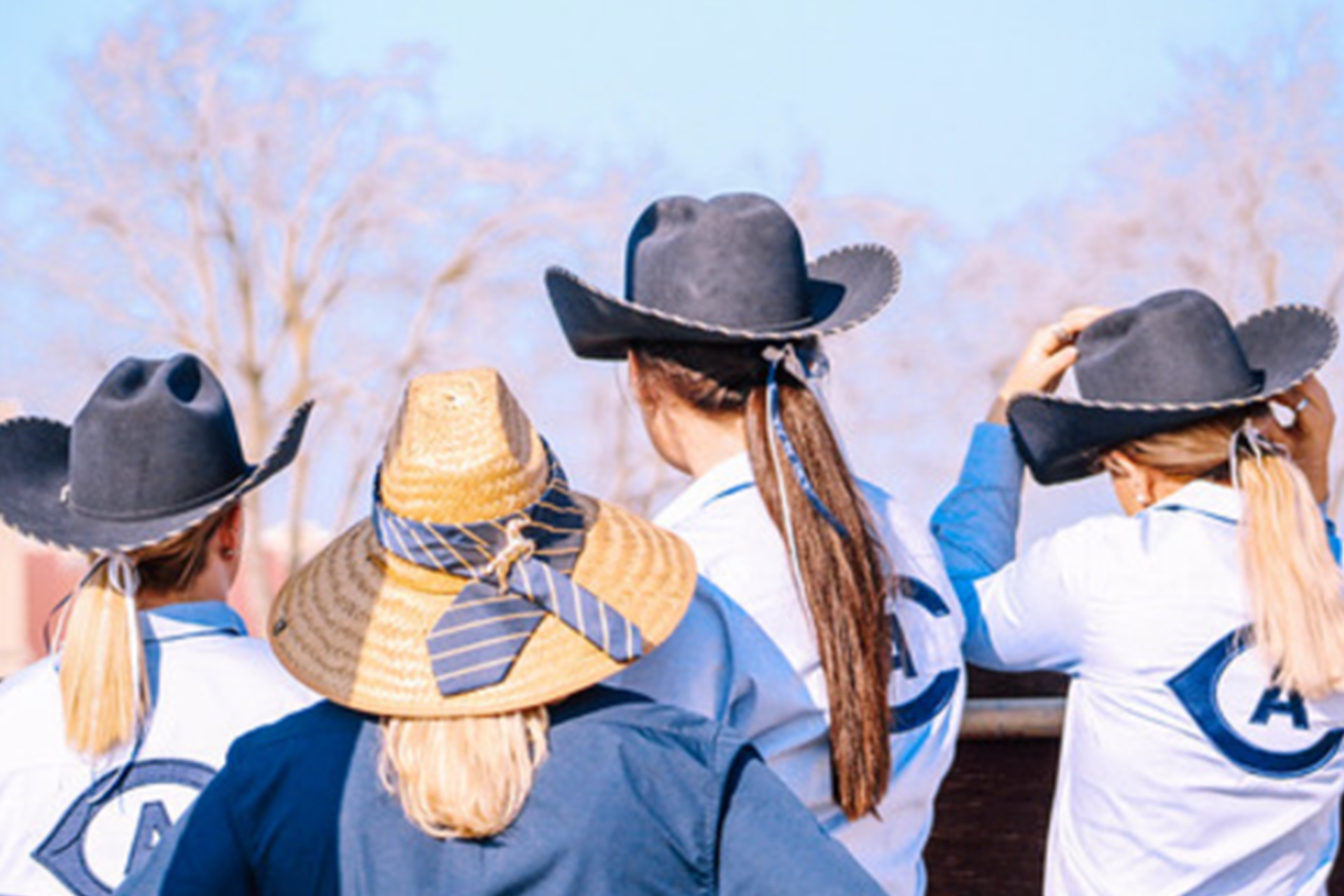 Dear Equestrian: UC Davis - National Collegiate Equestrian Association