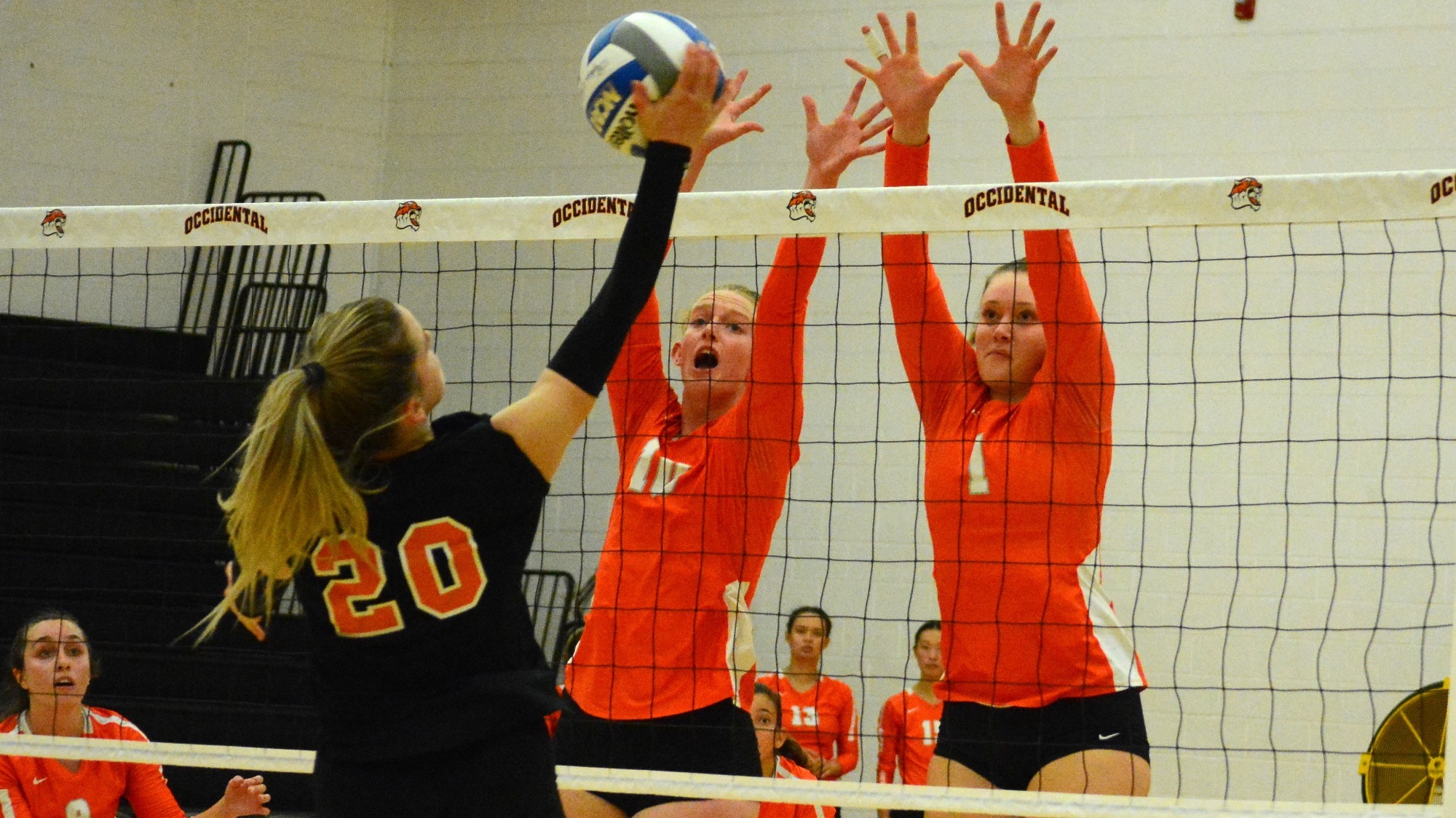 Claire Perhach - 2023 - Women's Volleyball - California Institute of ...