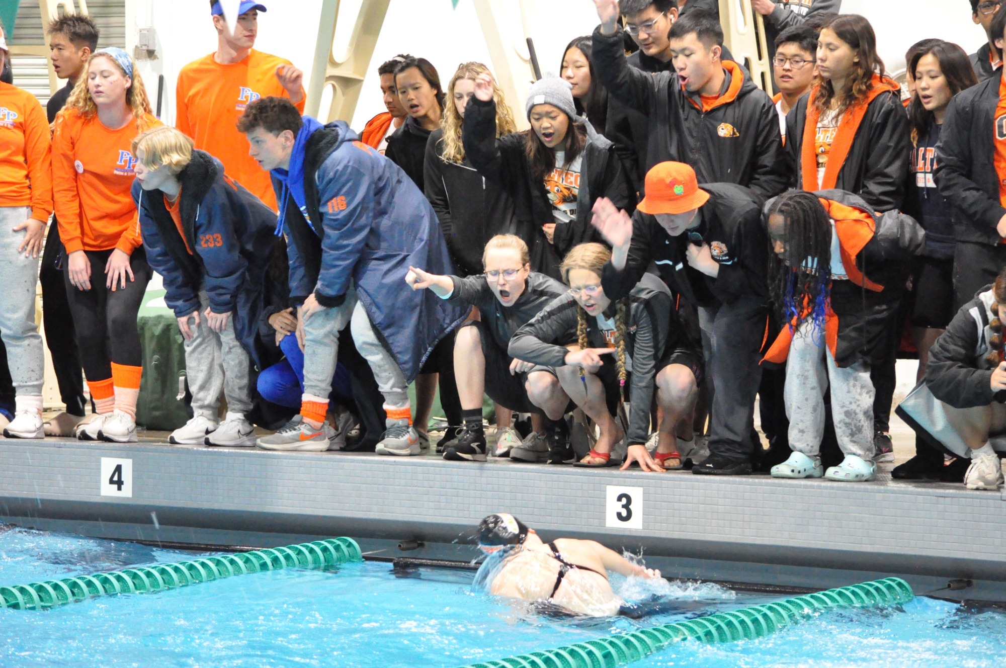 Tara Leininger - 2022-23 - Women's Swimming and Diving - California ...