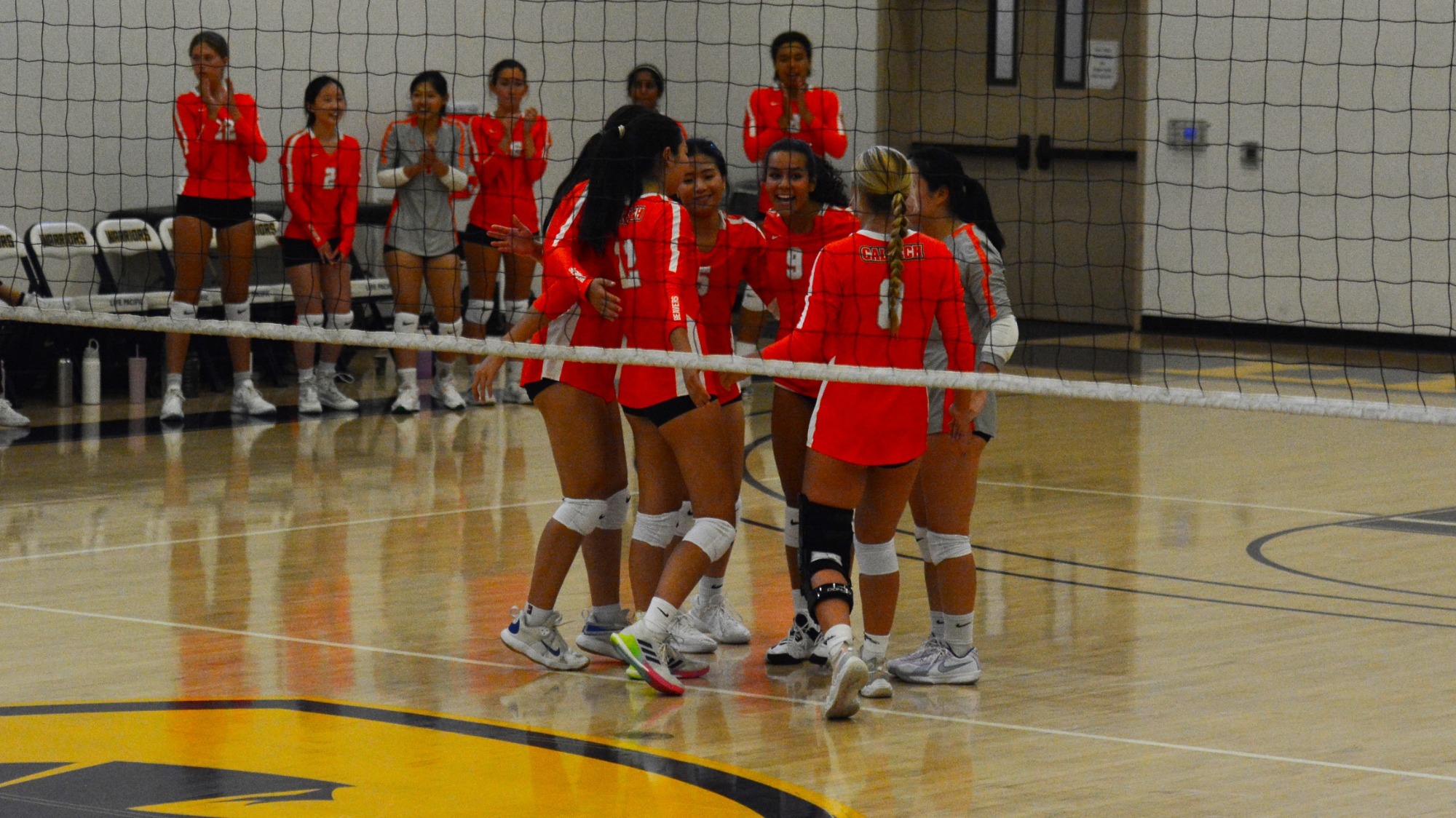 Twombly, Wang, Blend Named to Academic All-District Women's Volleyball ...