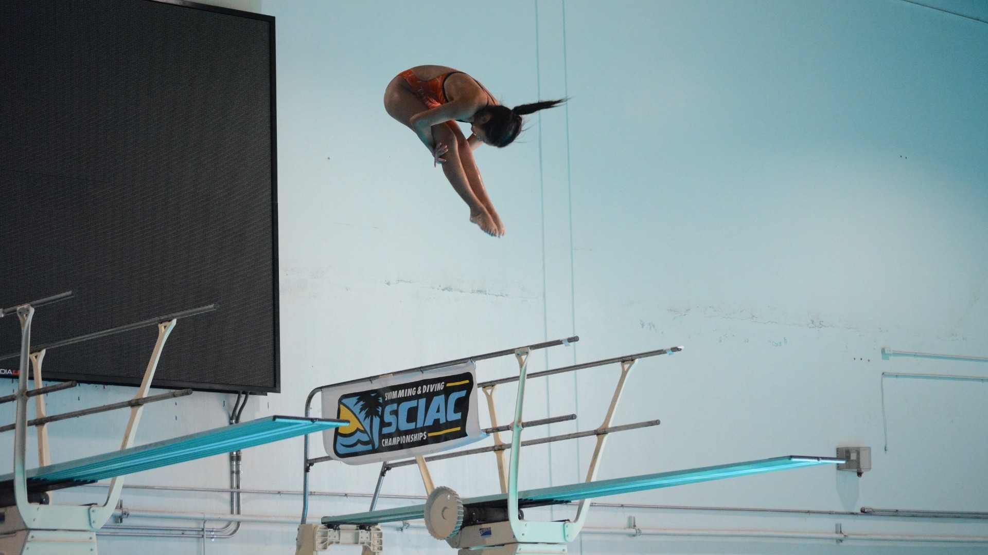 Women's Swim & Dive Named to Scholar All-America Team - California ...