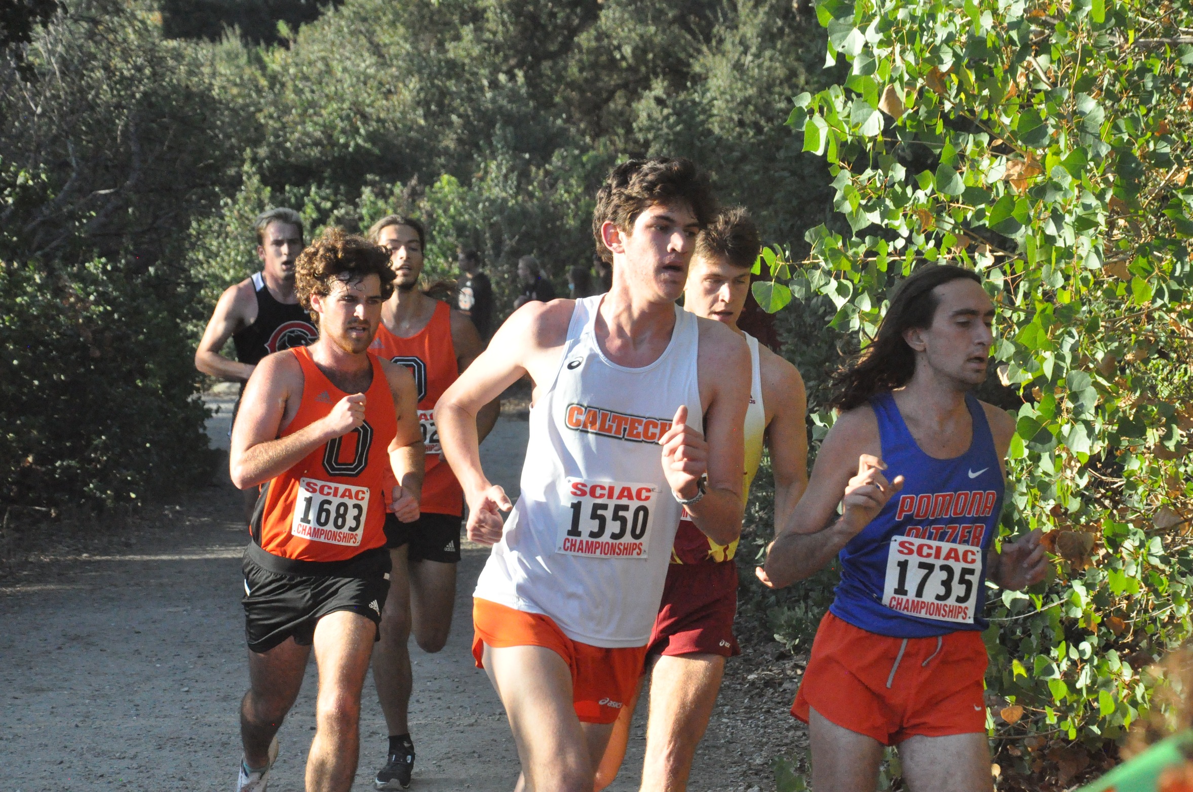 Cross Country Runs Well in Final Tune-up - California Institute of ...