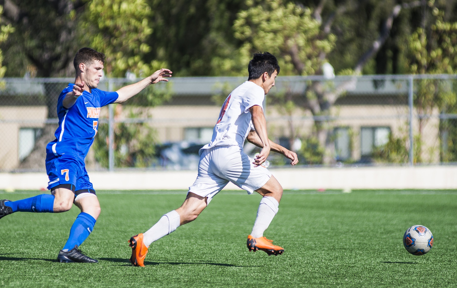 Caltech Seals First Tie in Five Years at La Verne - California ...