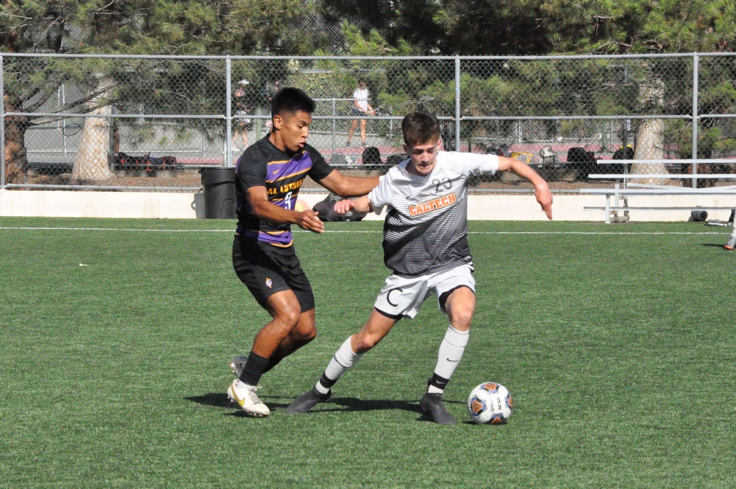 Men's Soccer Falls to Cal Lutheran in SCIAC Opener - California ...