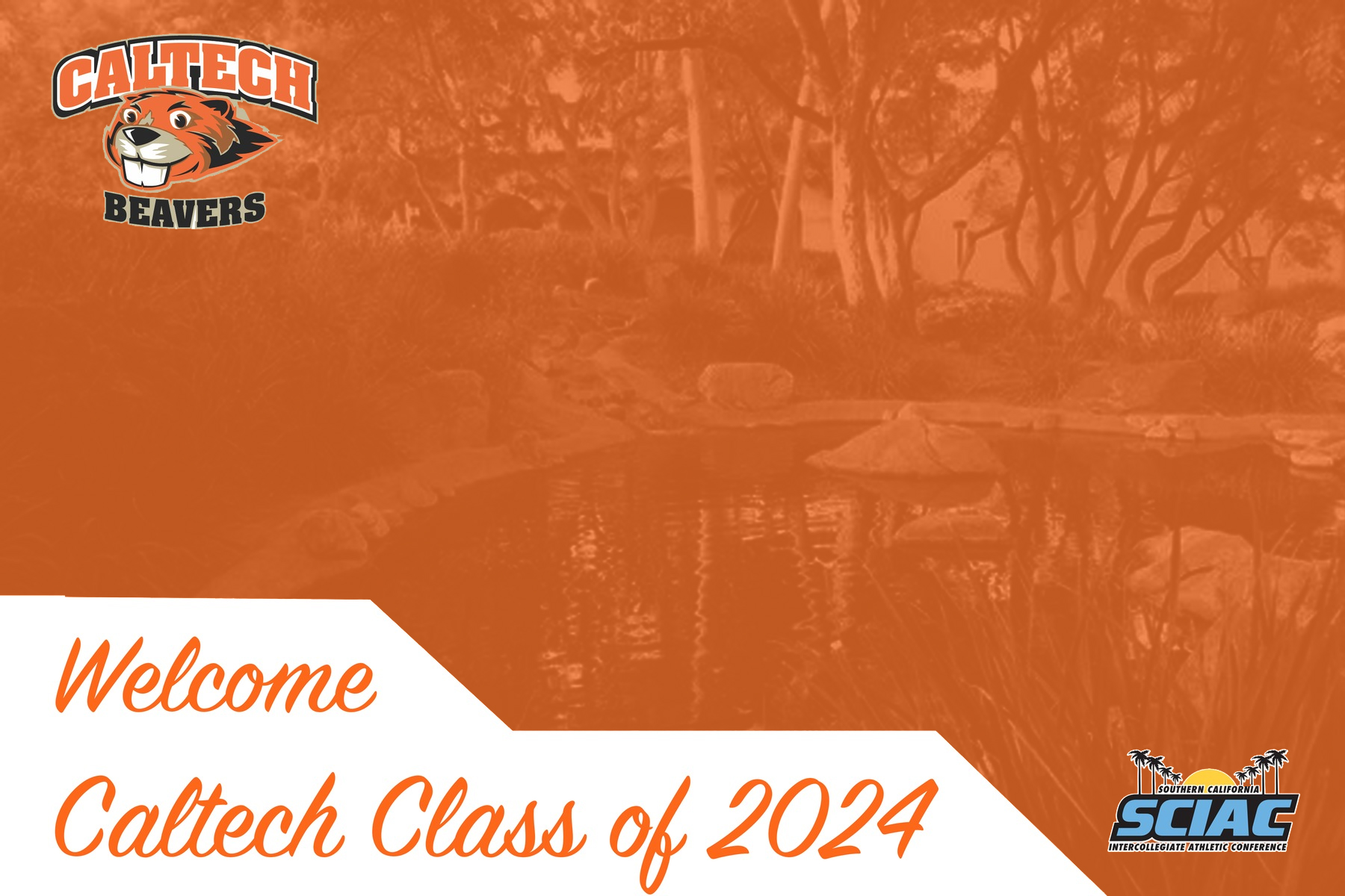 Introducing... Caltech Men's Swimming & Diving Class of 2024 ...