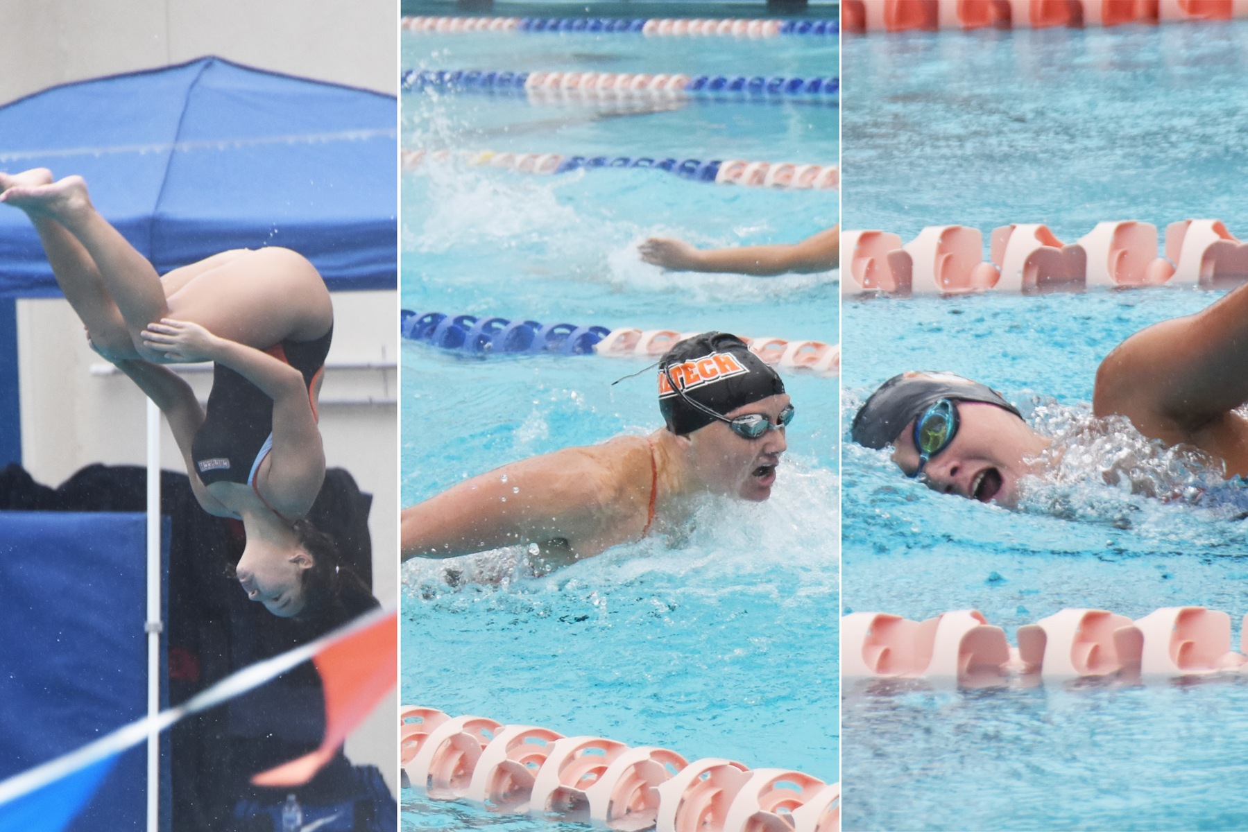 Three Members of Women's Swim & Dive Recognized for Scholar All-America ...