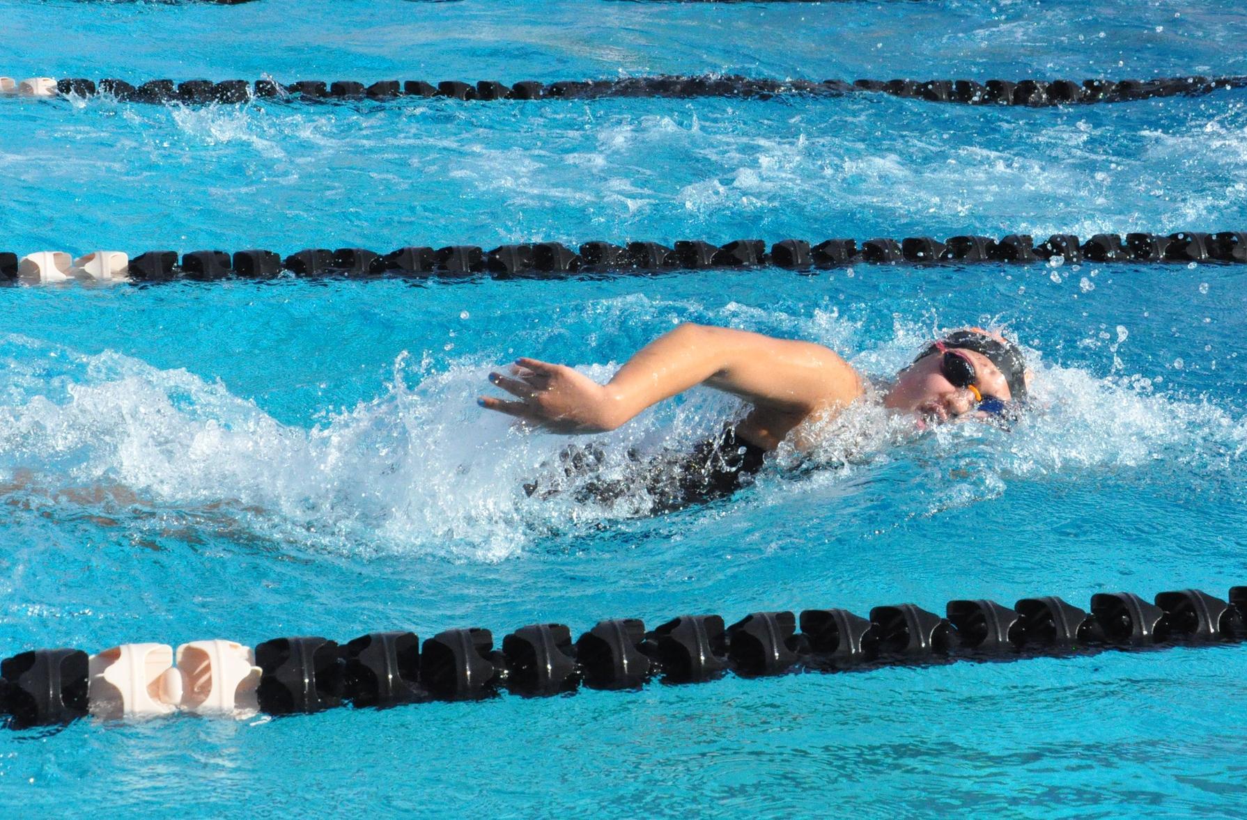 Swafford, Deng Highlight Penultimate Meet for Women's Swim & Dive ...