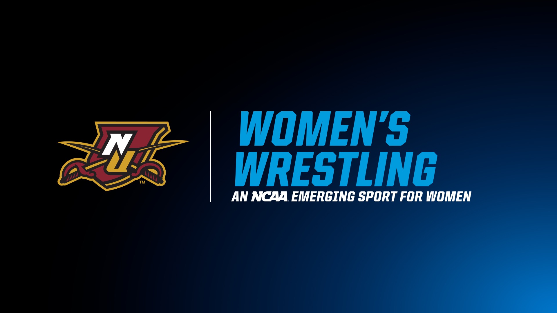 Student-athletes graduate at record highs - NCAA.org