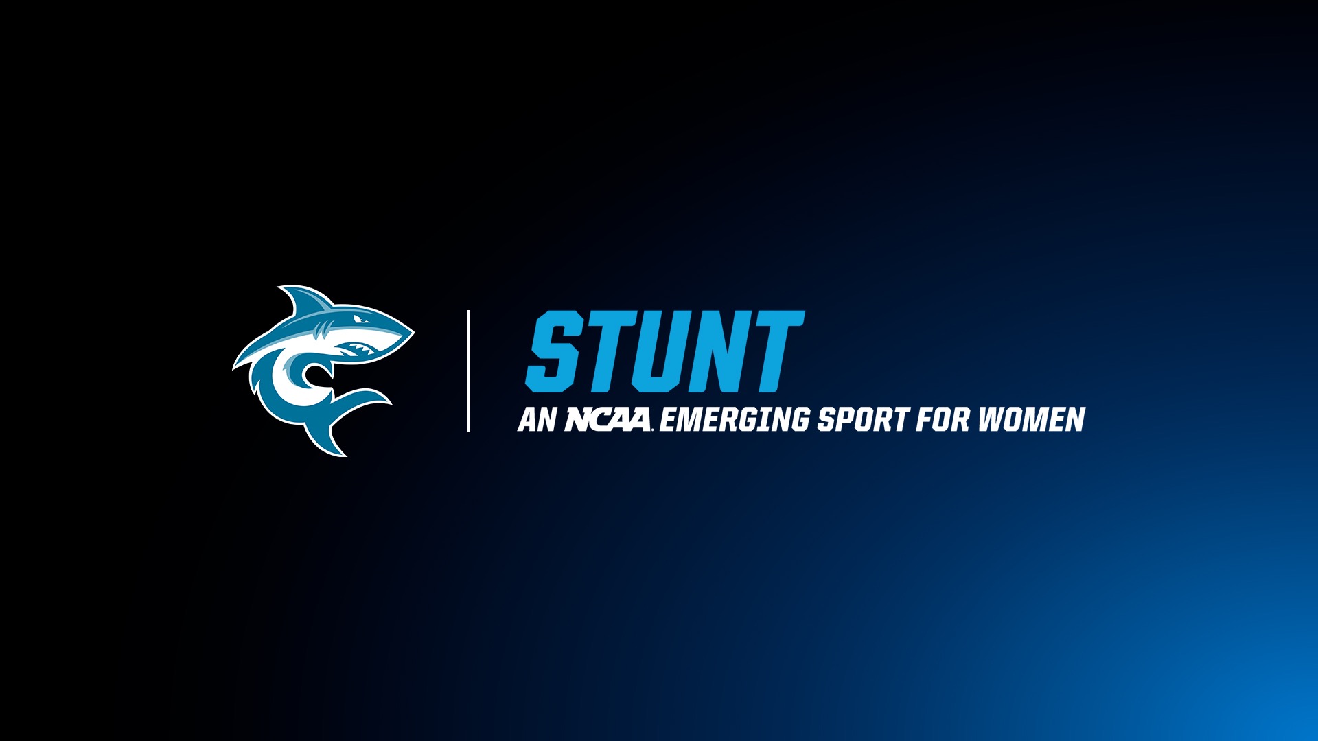 DI Council approves NIL reforms, permits school assistance with NIL ...