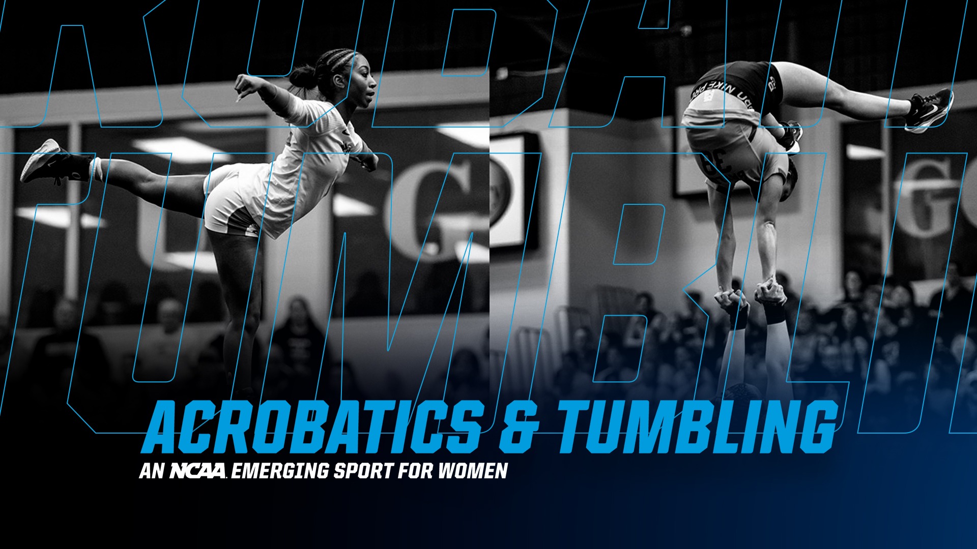 DI Council approves changes to notification-of-transfer windows in ...