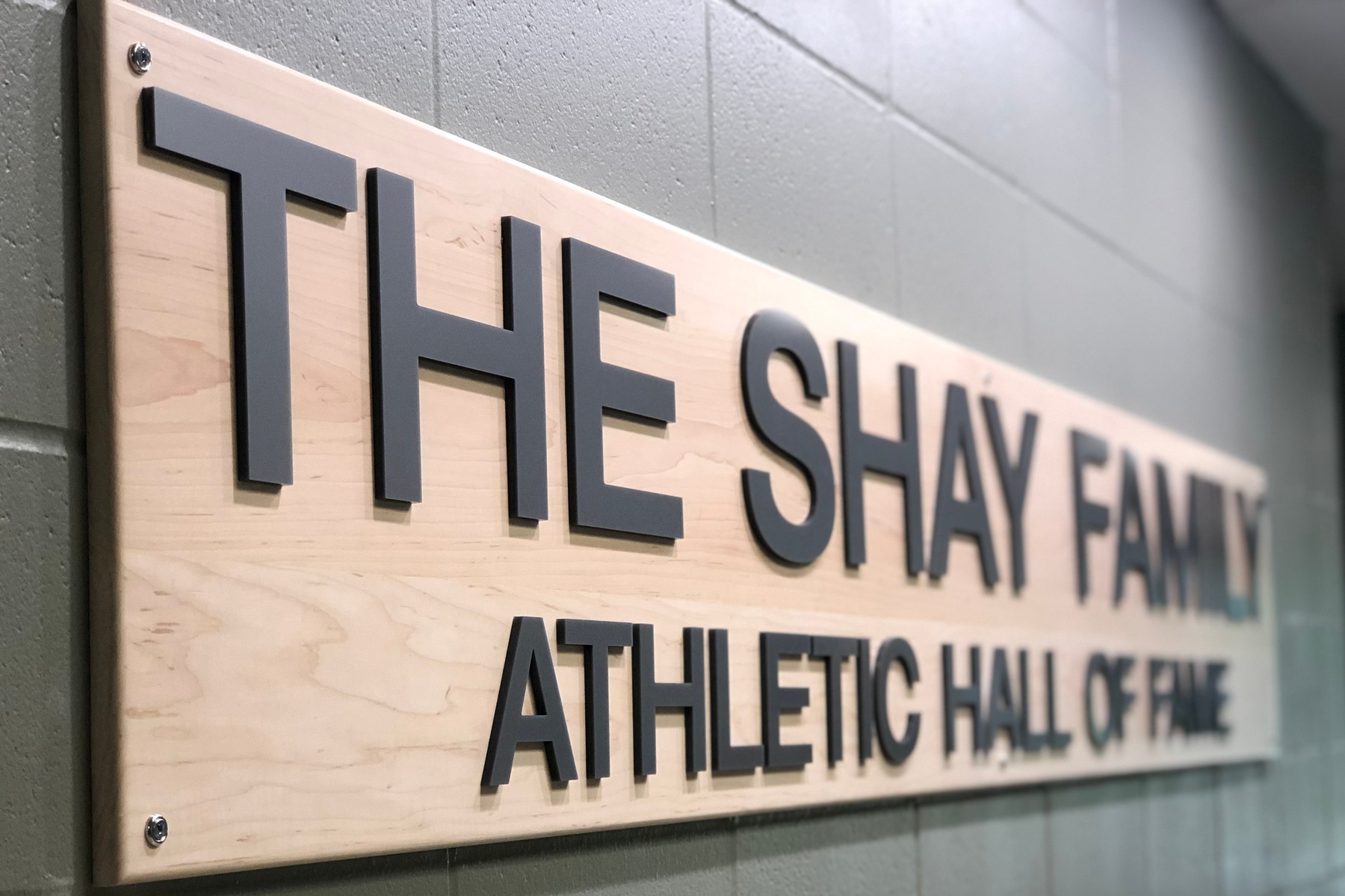 Alfred State Athletics Joins The SUNYAC starting in Fall 2026 - Alfred ...