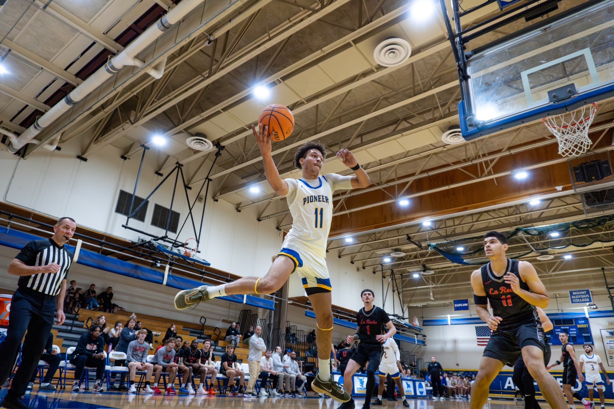 2024-25 Men's Basketball Schedule - Alfred State College