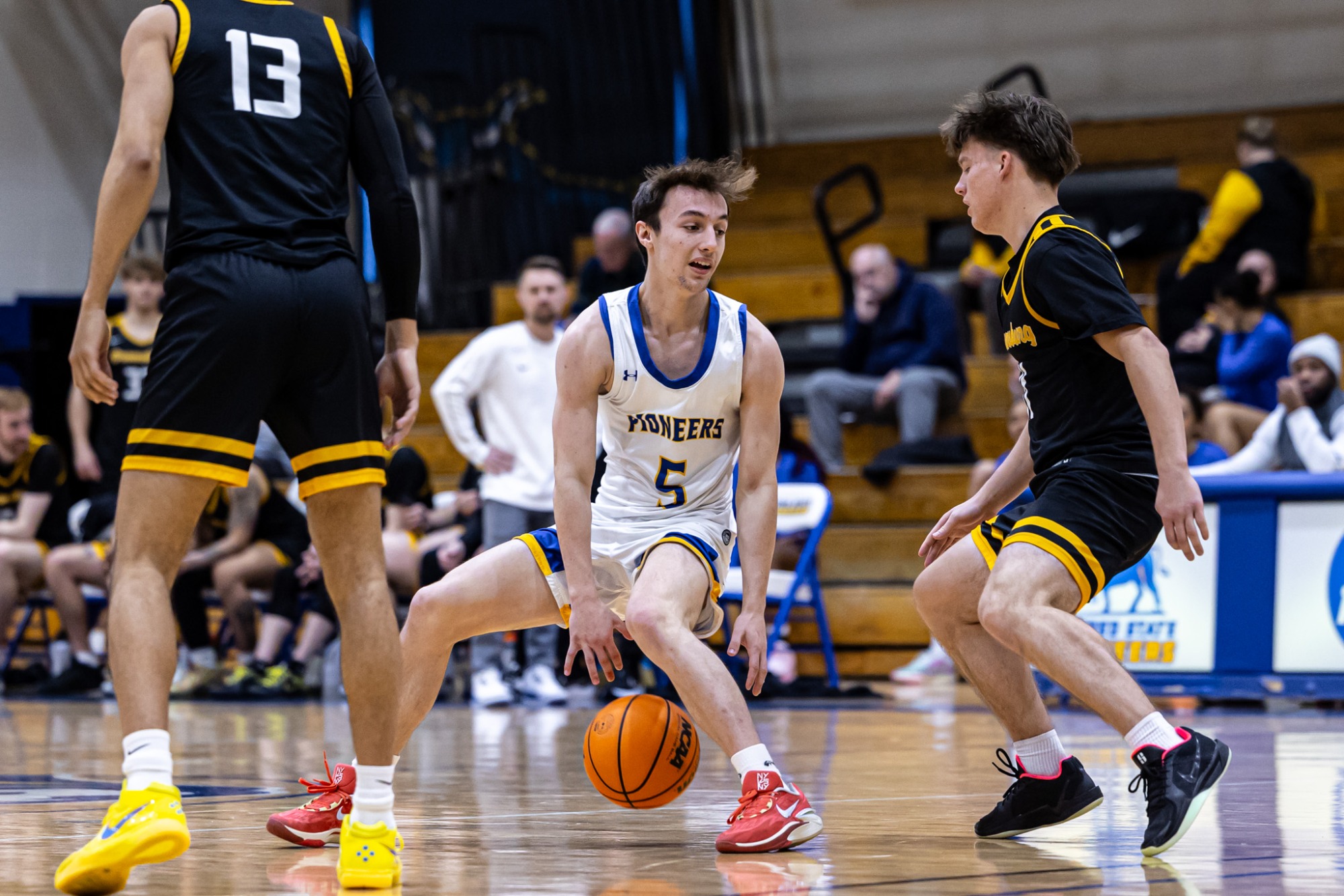 2024-25 Men's Basketball Schedule - Alfred State College