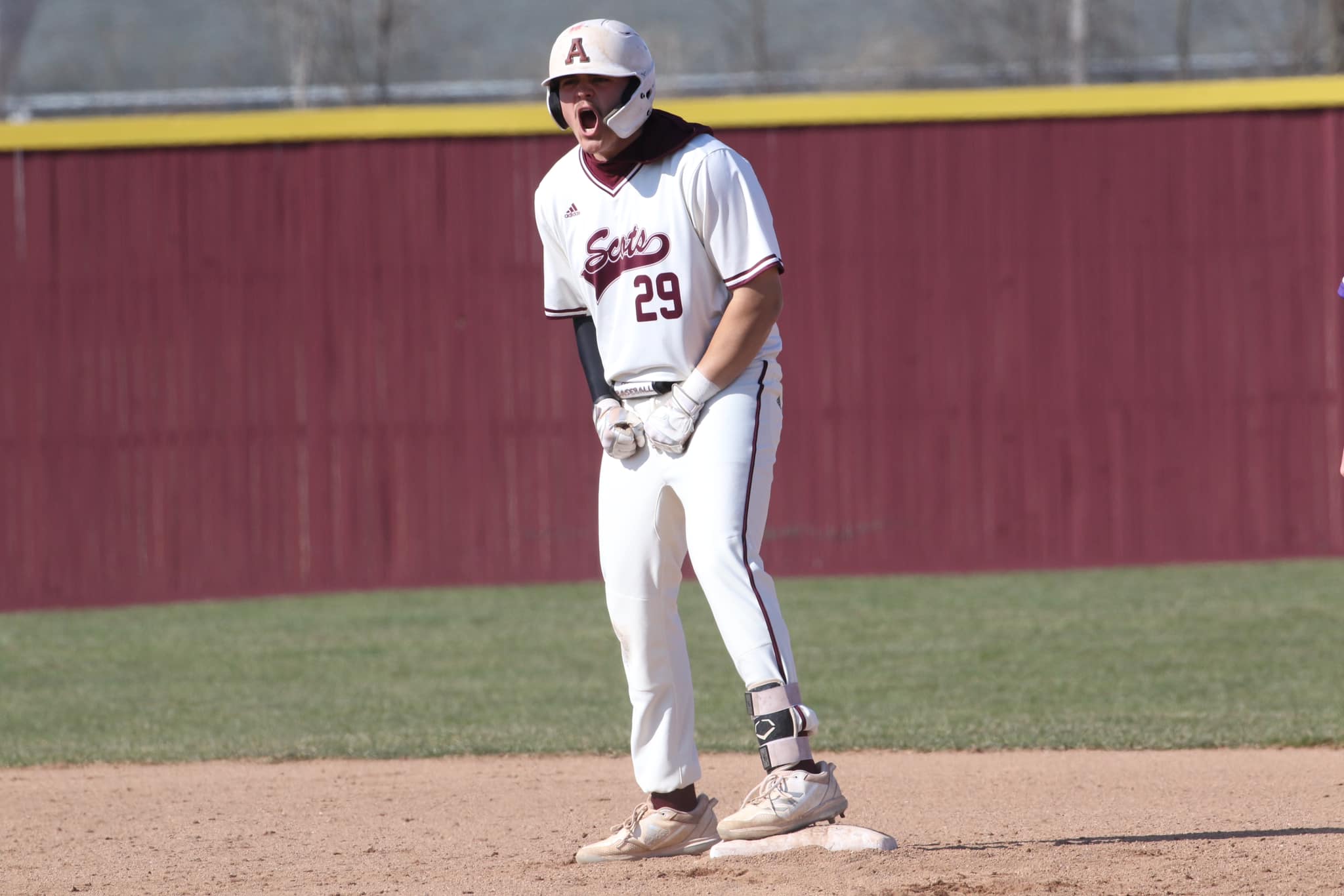 Baseball Heads to MIAA Championship Game With Win Over Hornets - Alma ...
