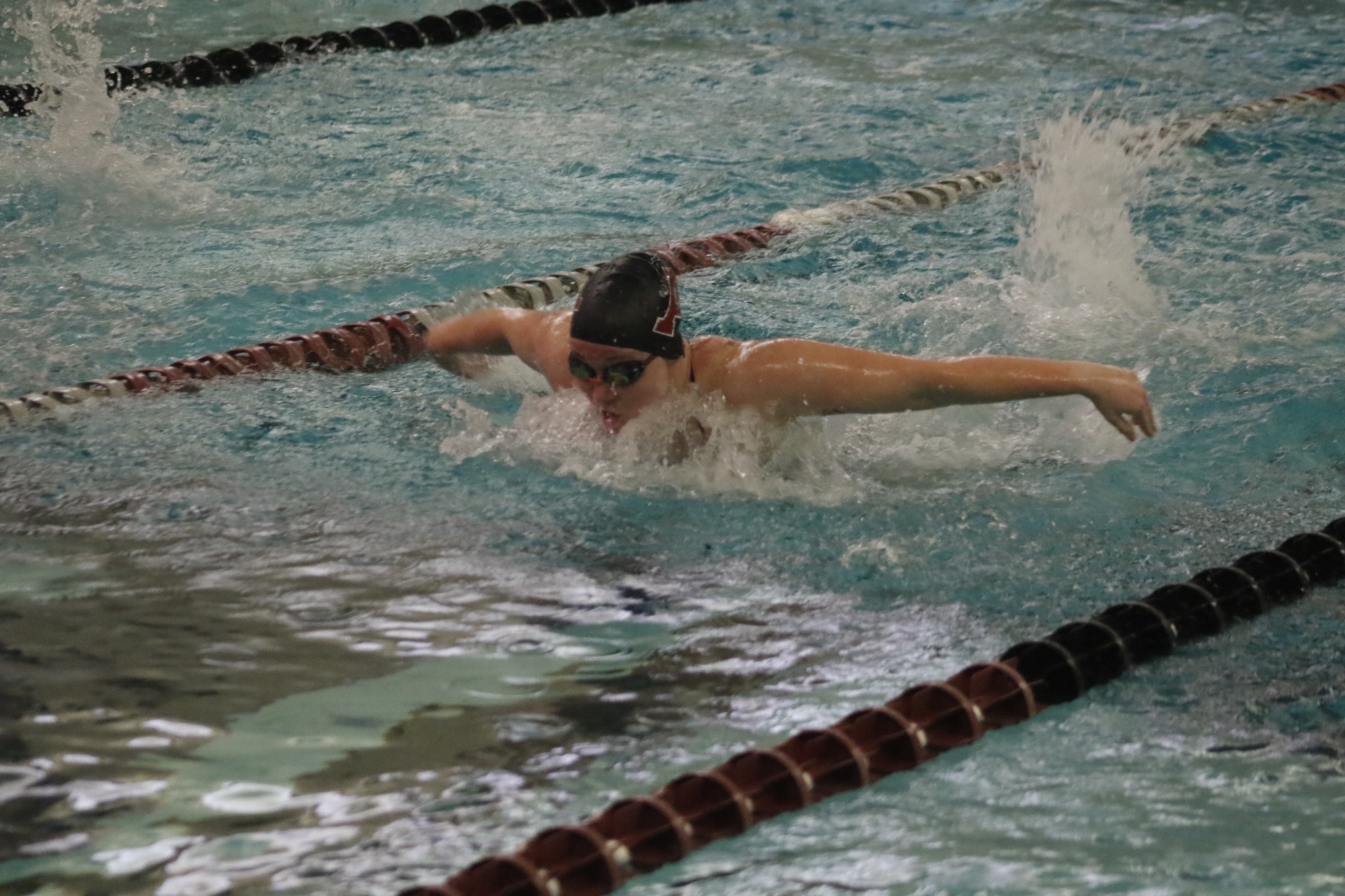 Men's and Women's Swimming 5th Heading Into Final Day of MIAA ...
