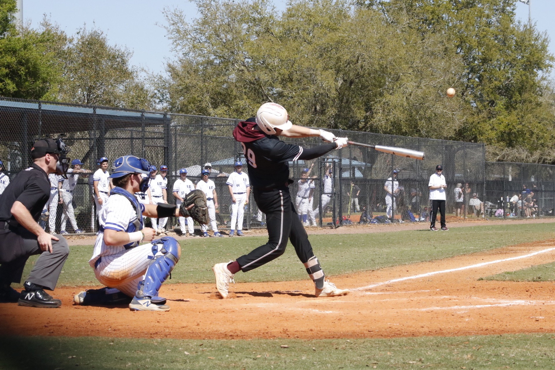 Avery Carnicom - 2024 - Baseball - Alma College