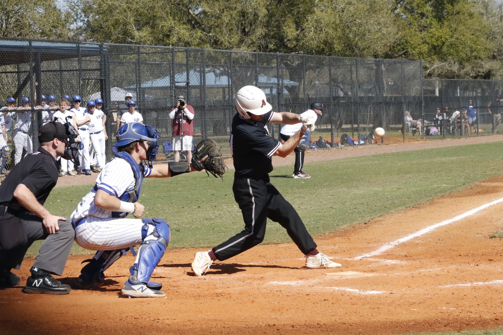 Dalton D'Alexander - 2024 - Baseball - Alma College