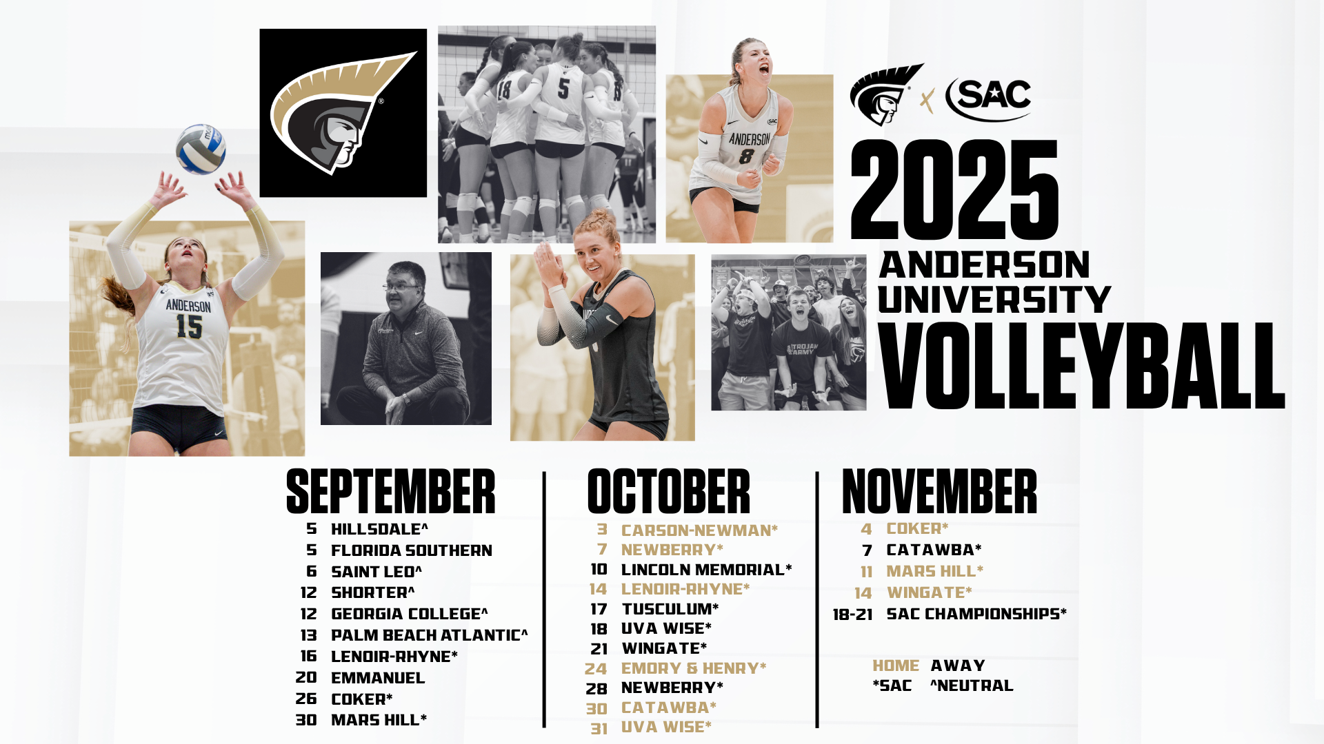 Volleyball Earns 14th Consecutive AVCA Team Academic Award - Anderson ...
