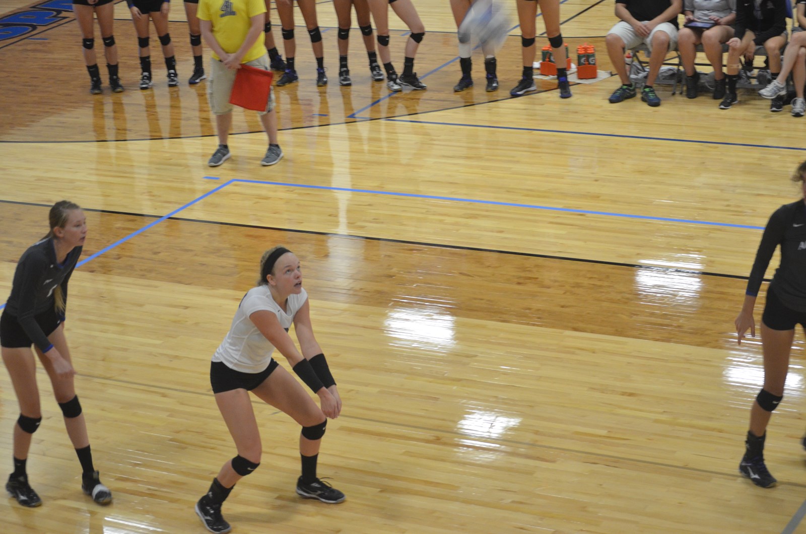 Karissa Chernick - Women's Volleyball - Aurora University Athletics
