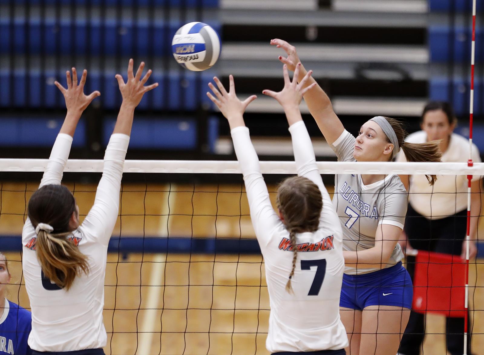 Ava Pauly - Women's Volleyball - Aurora University Athletics