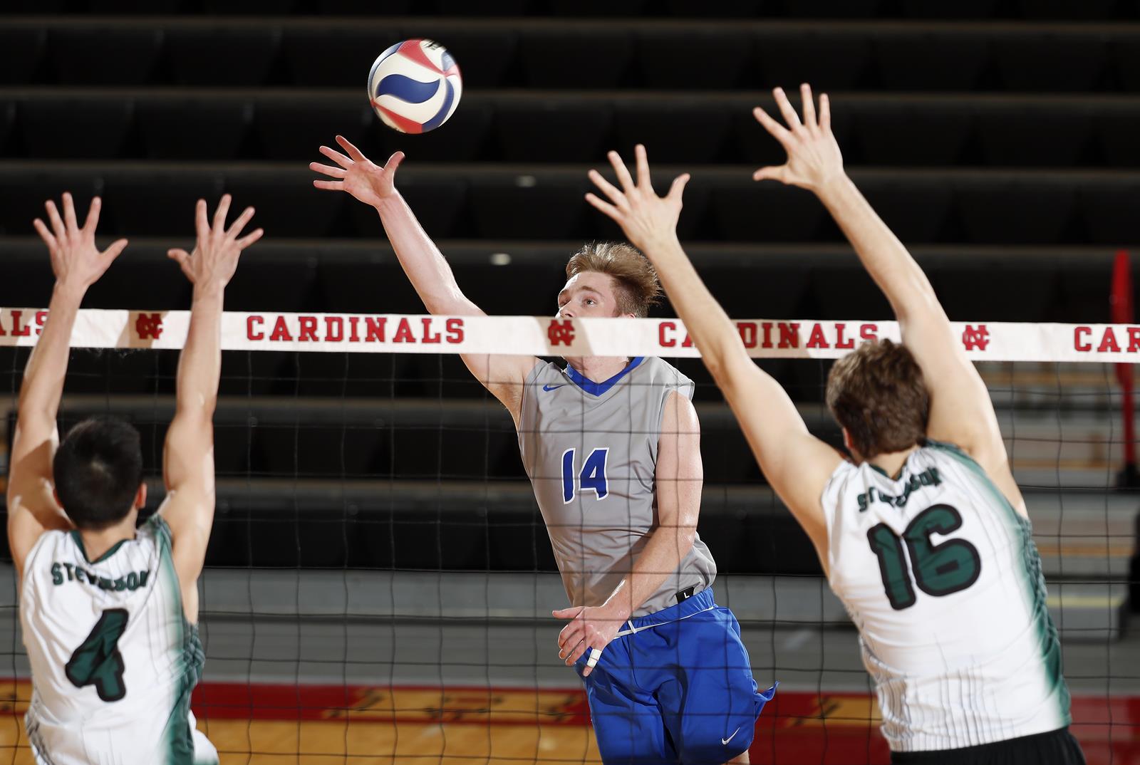 Cade Harrison - Men's Volleyball - Aurora University Athletics