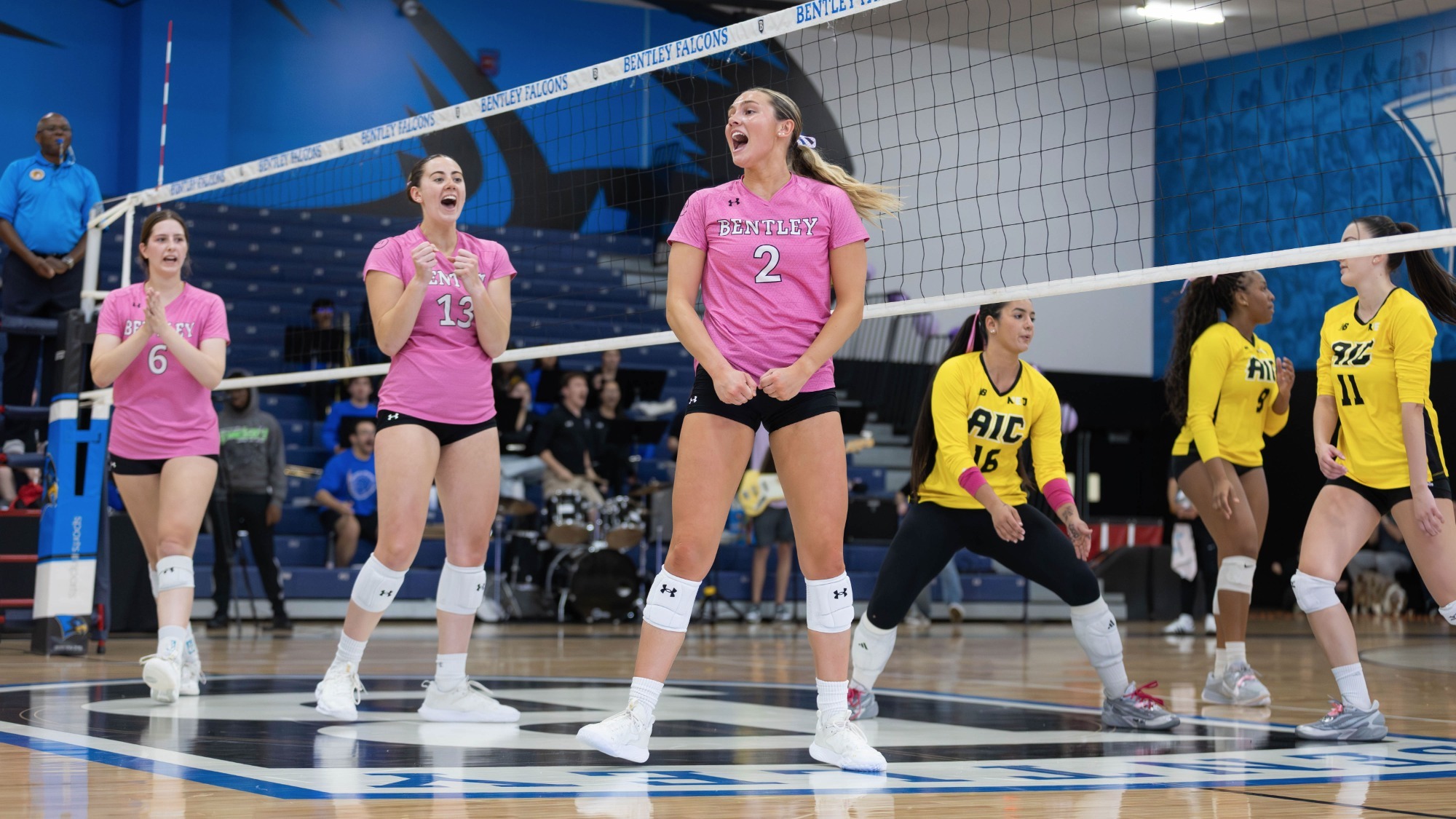 Conference's top seed ready to host NE10 Volleyball Semifinals ...