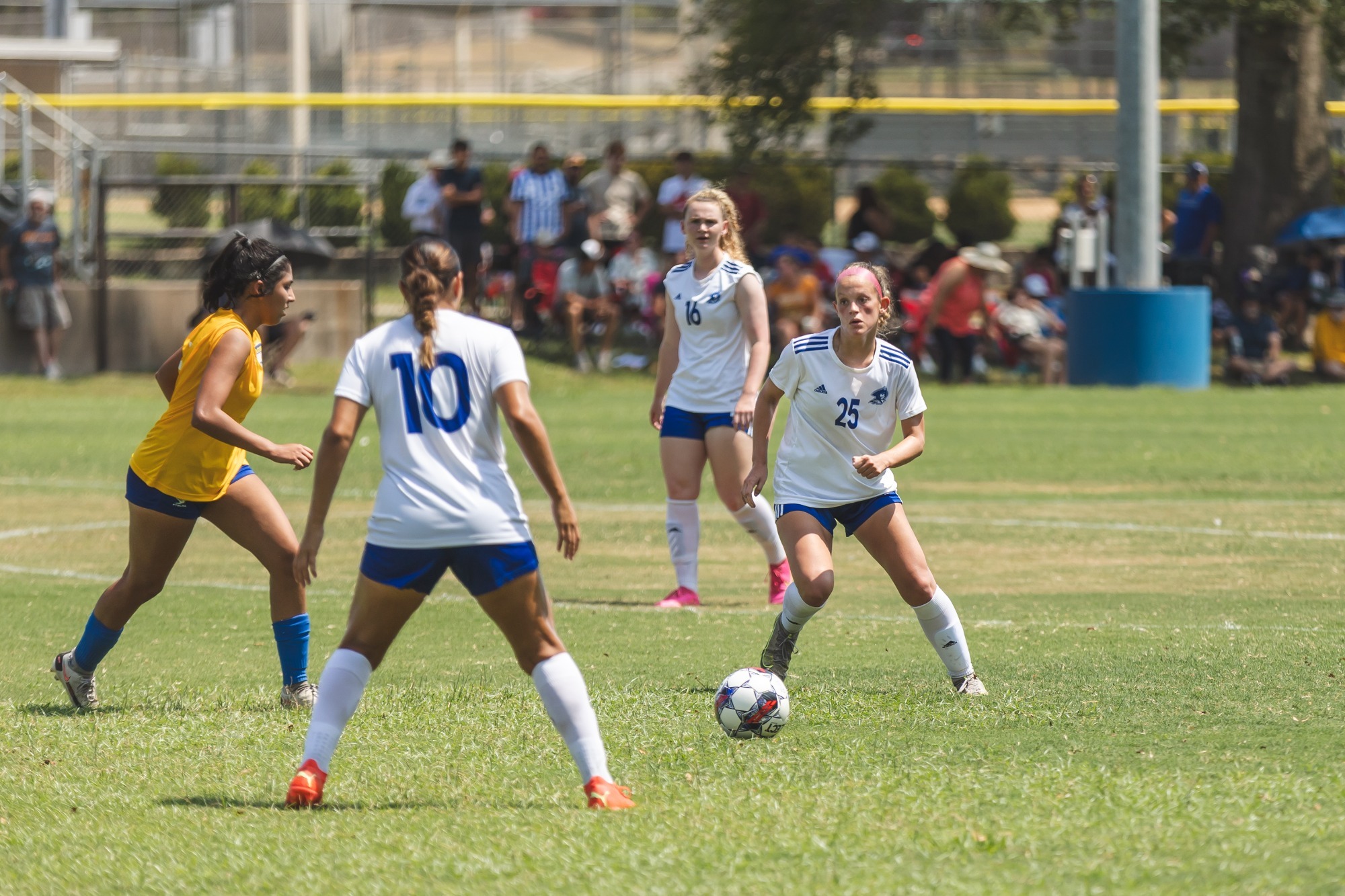 Blinn shuts out Angelina for first-ever win over Roadrunners - Blinn ...
