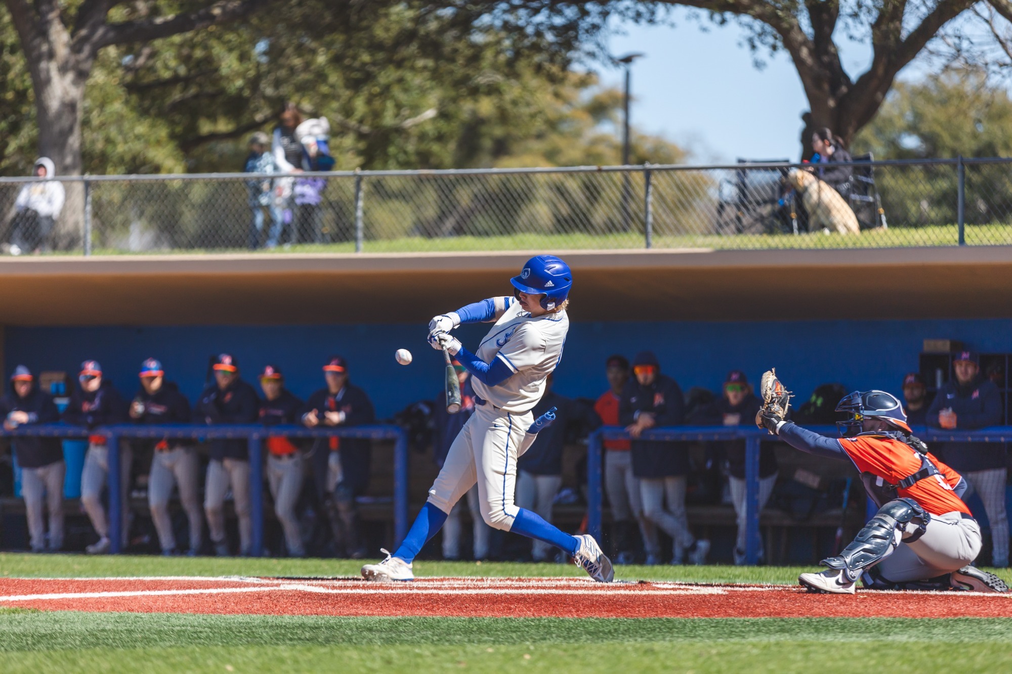 Marshall Lipsey - 2024 - Baseball - Blinn College