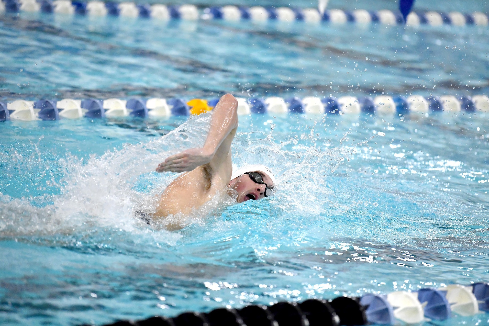 Sam Dienstag - 2023-24 - Men's Swimming and Diving - Brandeis University