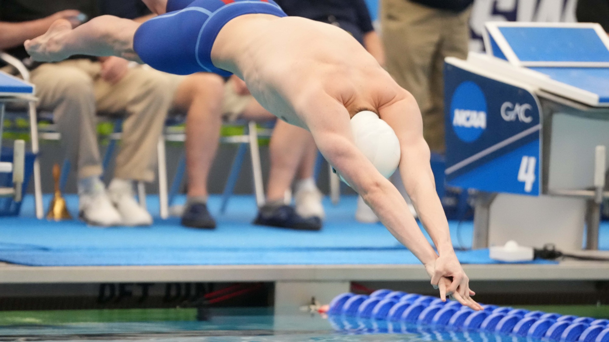 Sam Dienstag - 2023-24 - Men's Swimming and Diving - Brandeis University