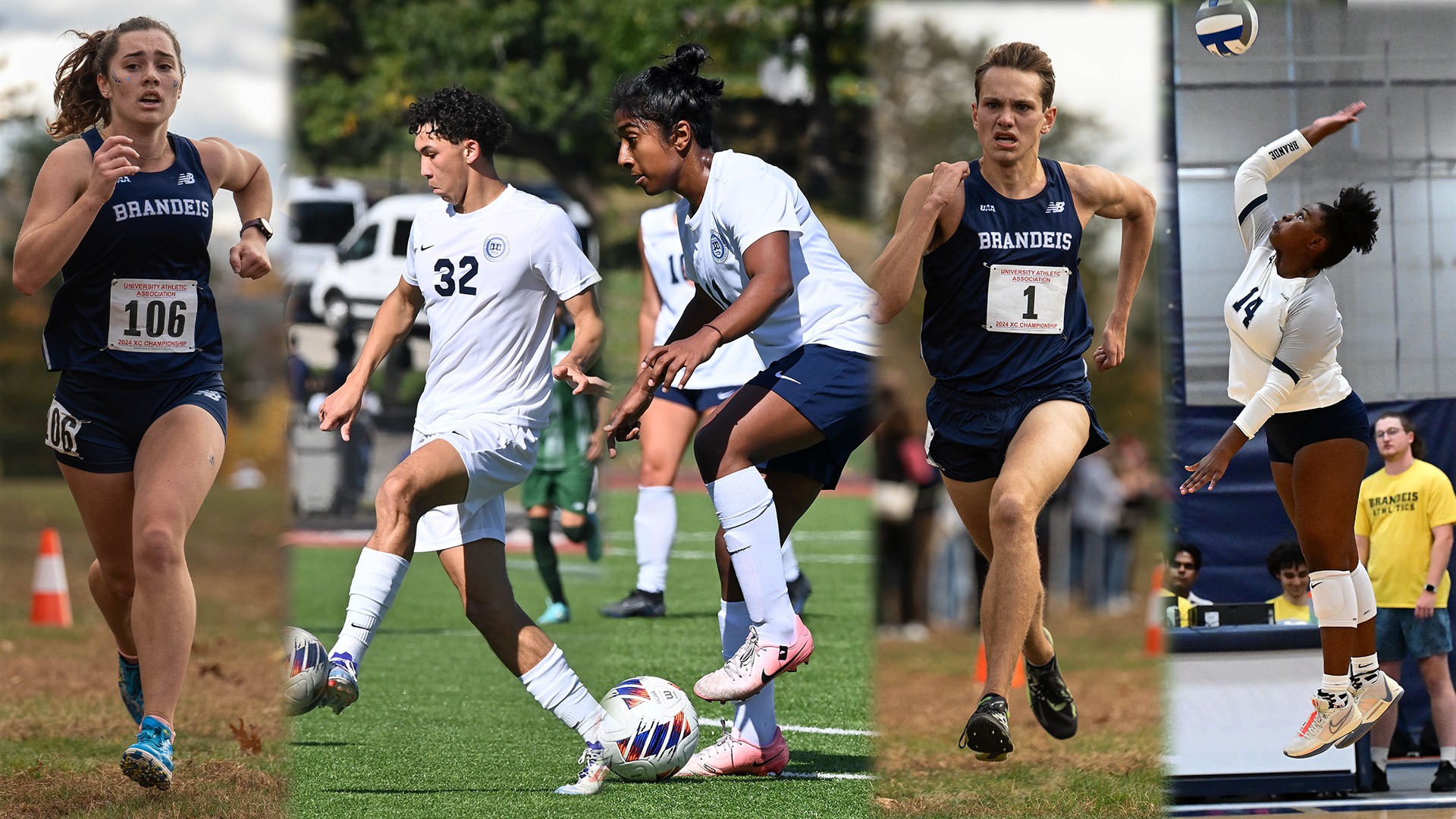 Jessica Chapin '10 reflects on her first year at the helm of Brandeis ...