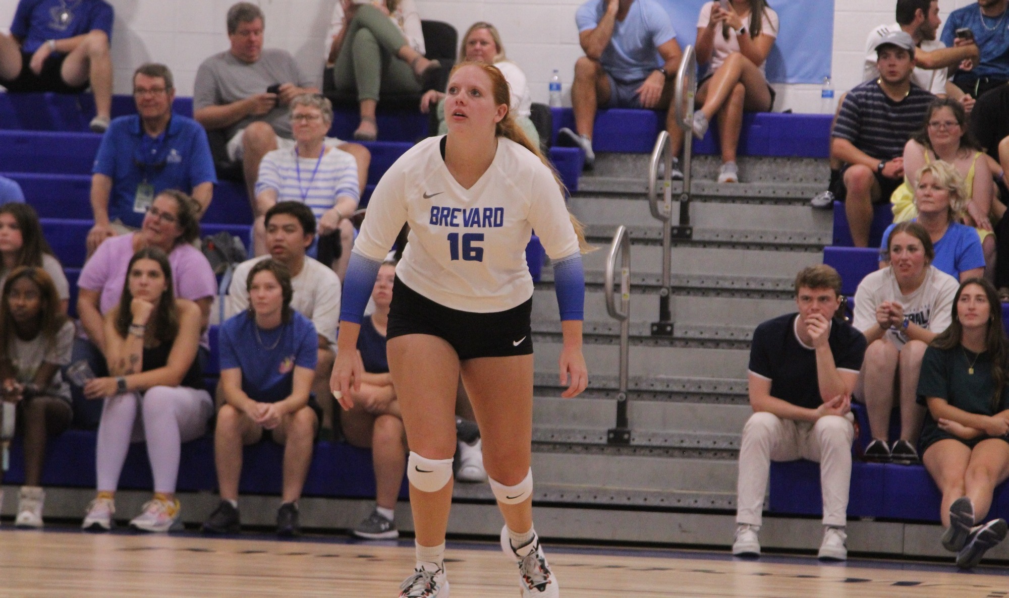 Logan Priddy - 2023 - Women's Volleyball - Brevard College