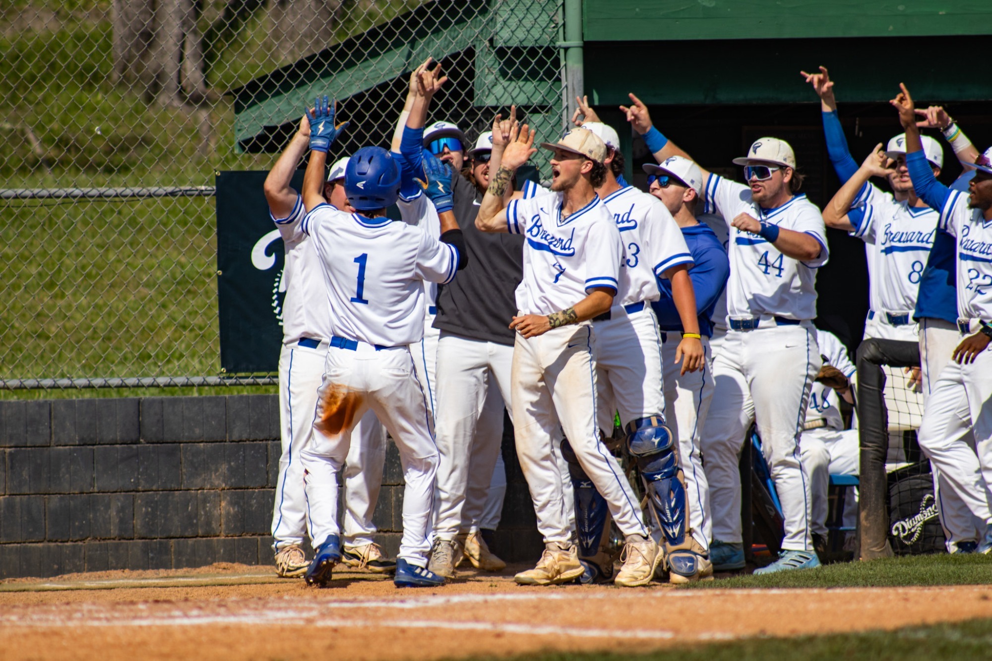 Tornados Advance to First-Ever USA South Championship Series - Brevard ...