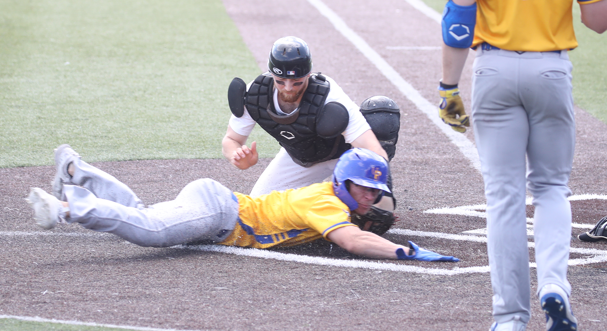 Chris Brady - Baseball - California University of Pennsylvania Athletics