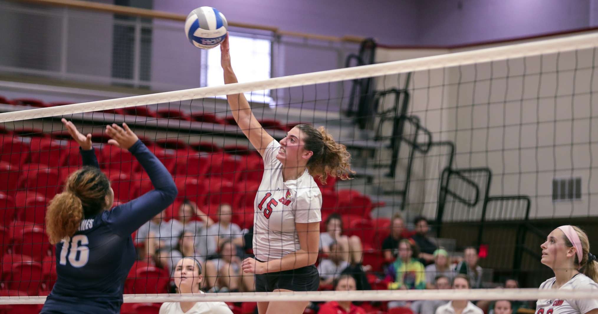 Cardinals Fall to Messiah in Five at Knights Invitational - Catholic ...