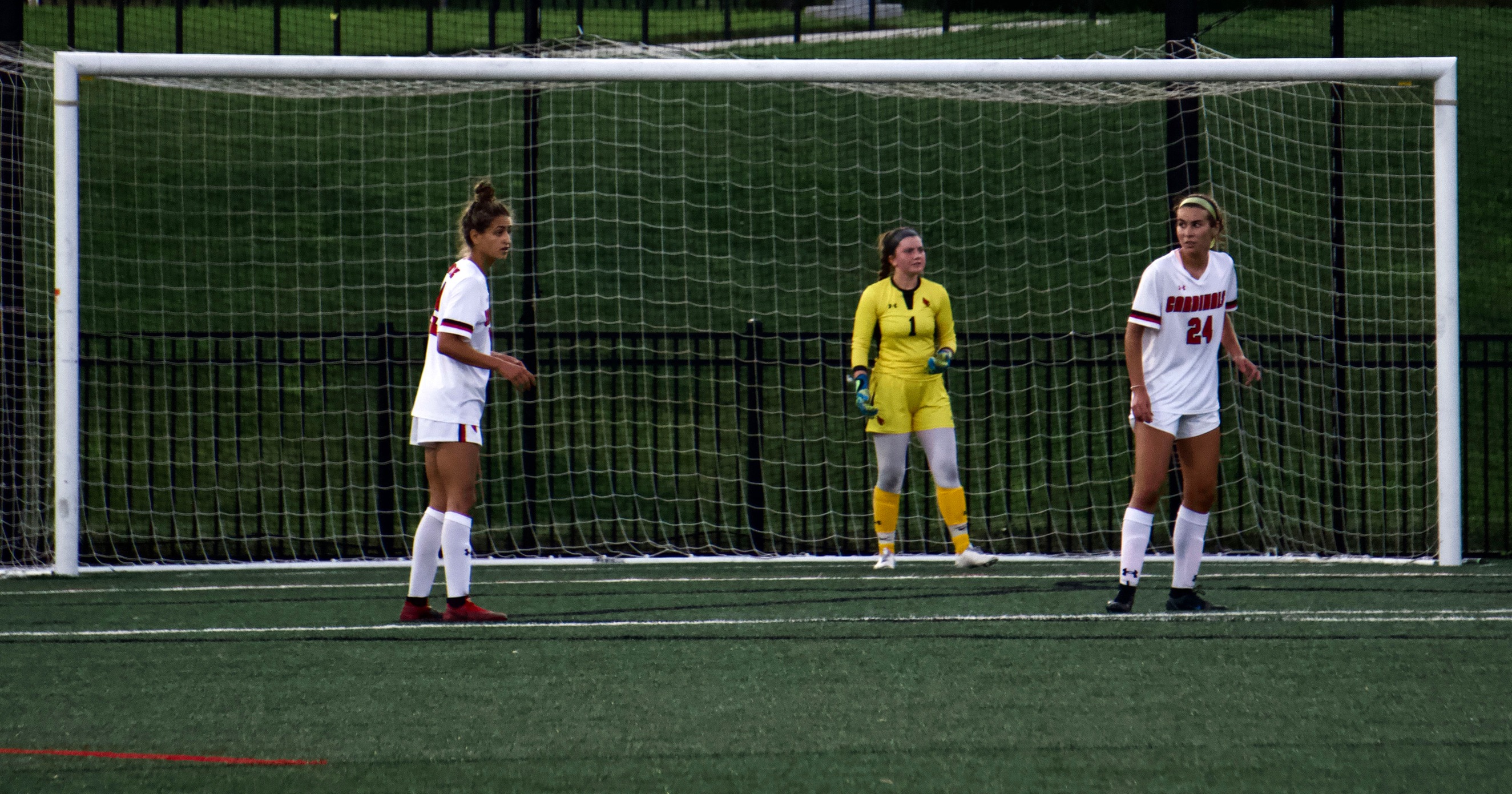 Cardinals Fall to McDaniel at Home in Season Opener - Catholic ...