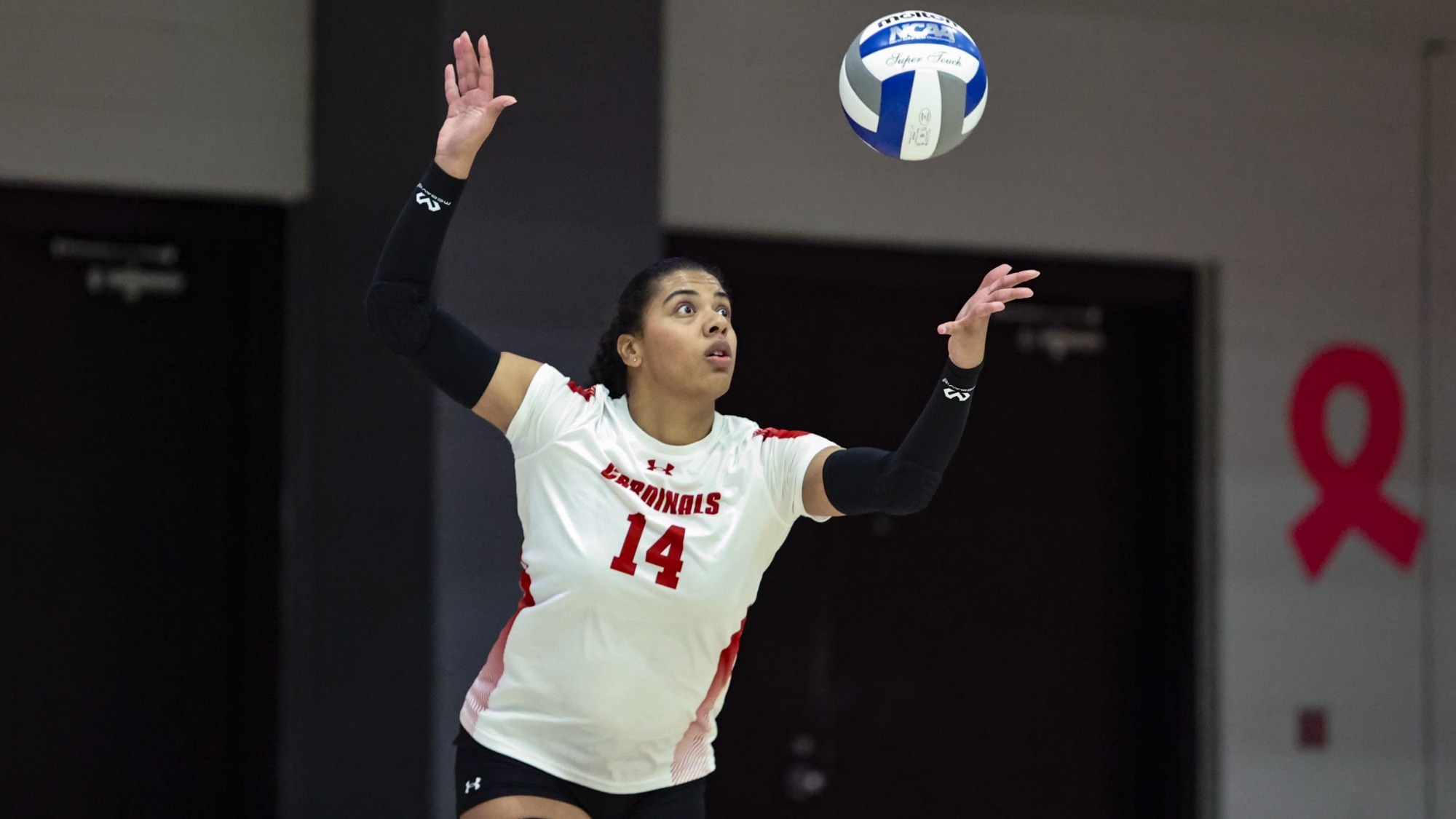 Sydney Sheppard - 2023 - Women's Volleyball - Catholic University of ...