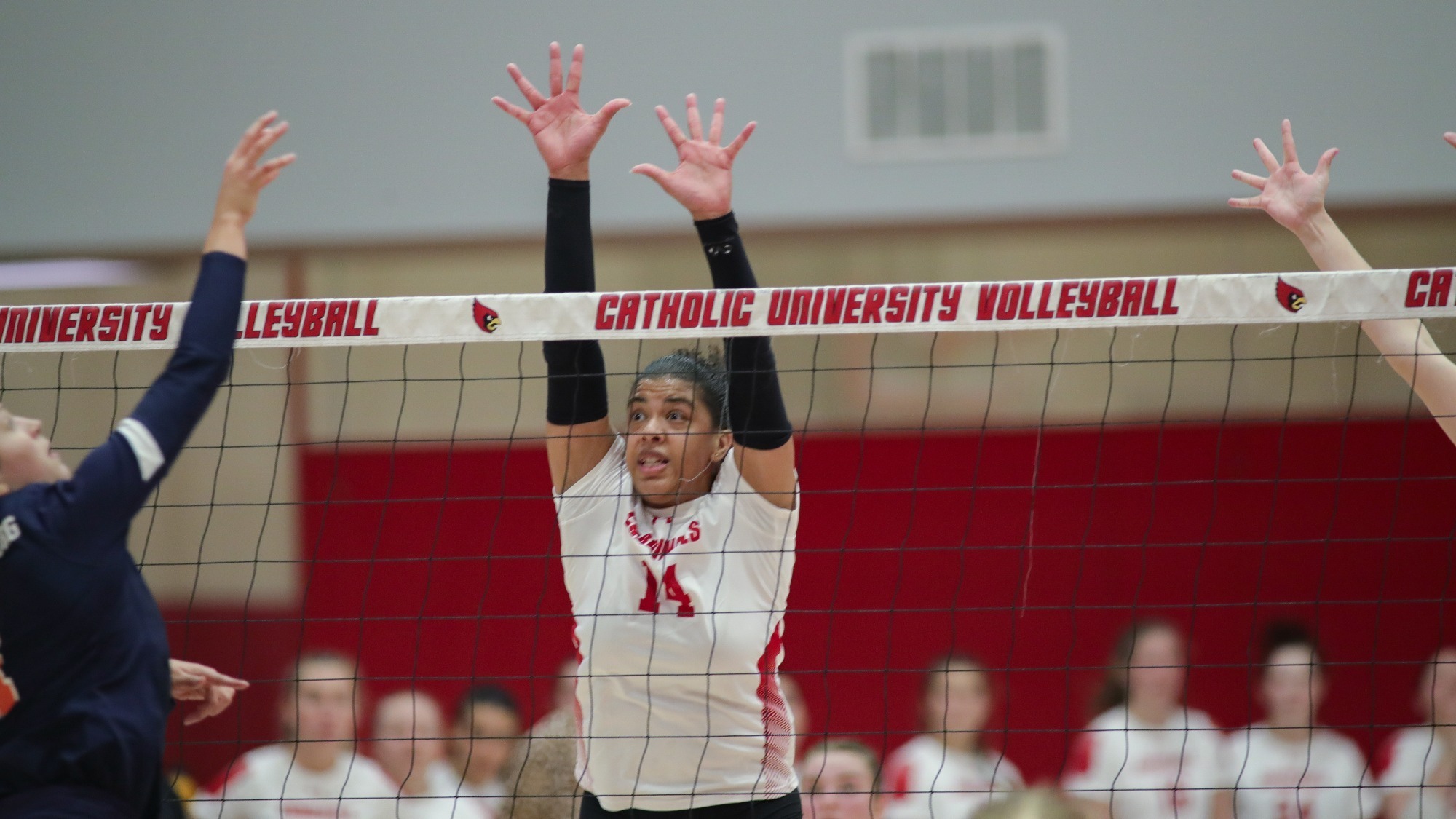 Sydney Sheppard - 2023 - Women's Volleyball - Catholic University of ...