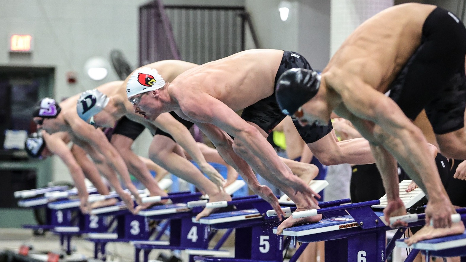 Nathan Ober - 2023-24 - Men's Swimming and Diving - Catholic University ...