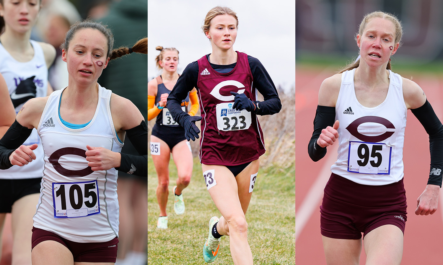Women's Cross Country/Track & Field Trio Adds CSC Academic All-America ...