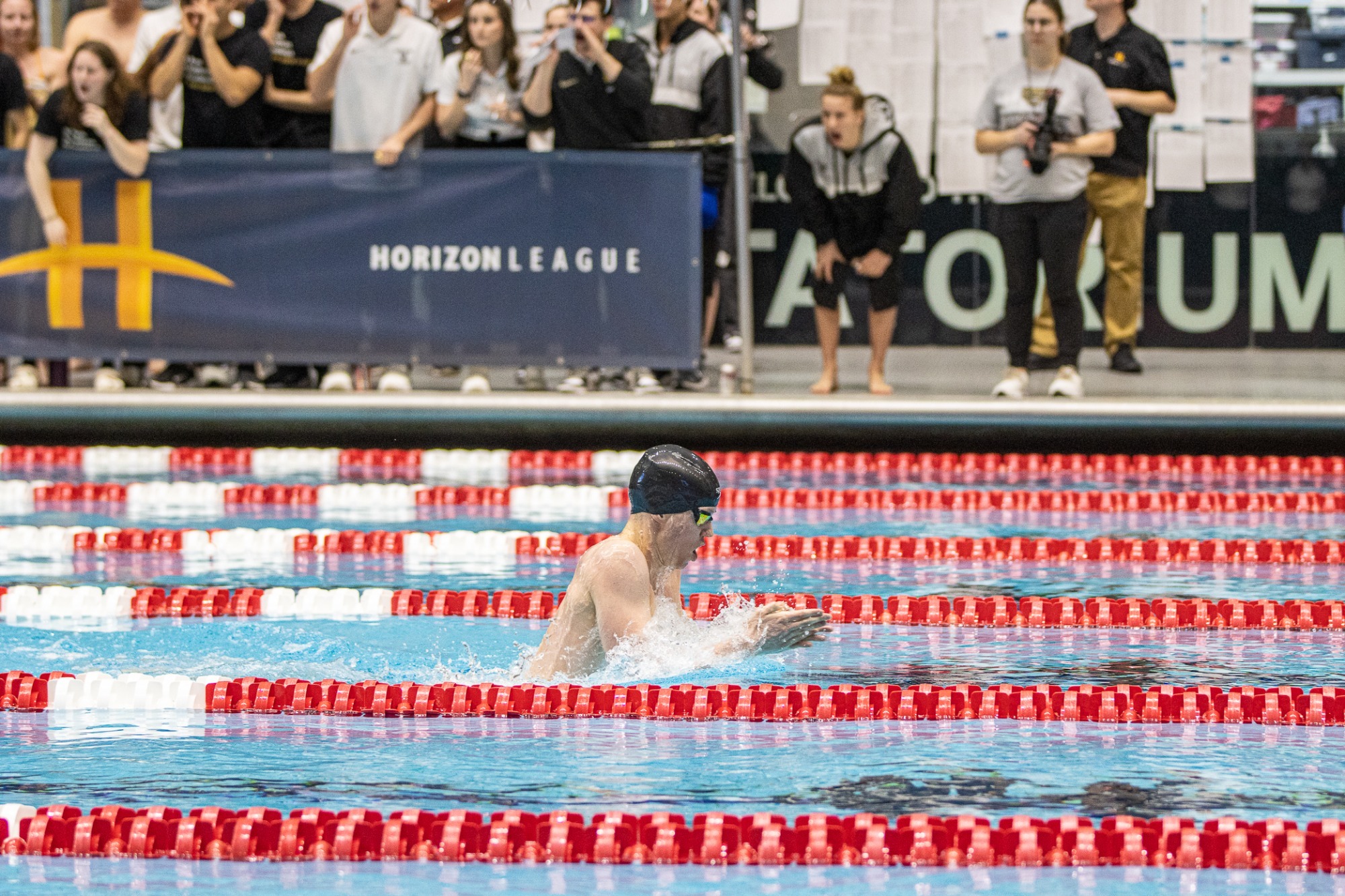Cleveland State Swimming & Diving Set for Horizon League Championships ...