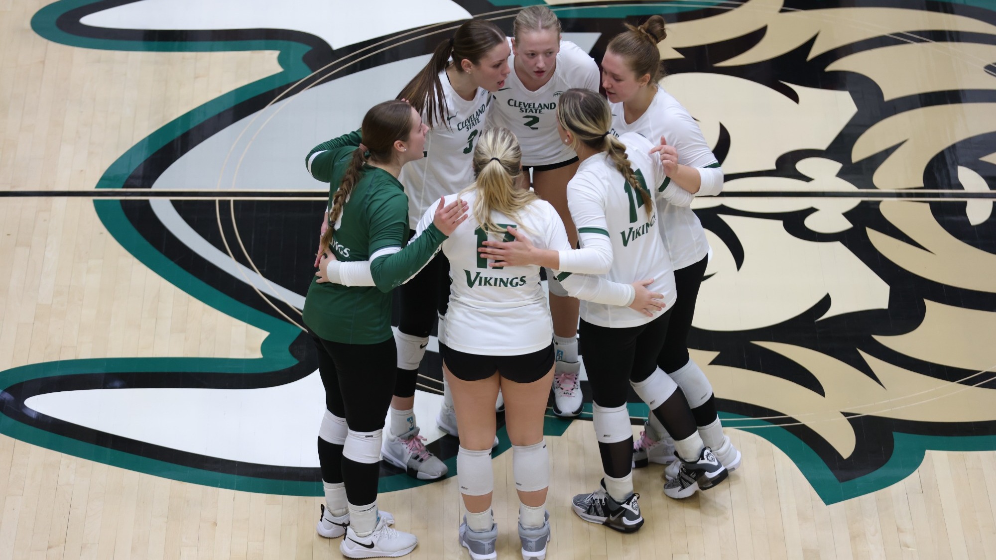 Cleveland State Volleyball To Face Third-Seeded Kentucky In NCAA First ...