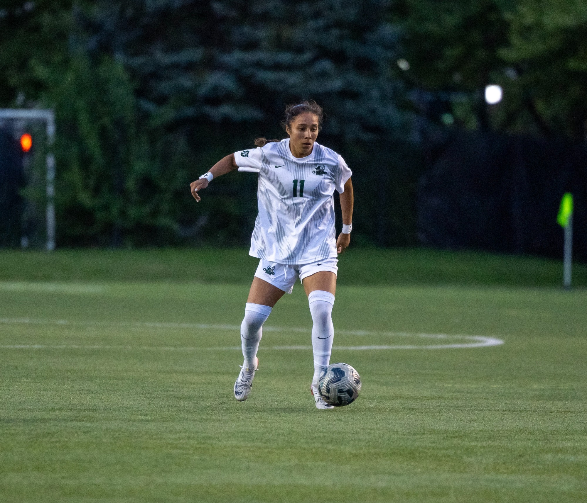 Cleveland State Women's Soccer Opens 2025 Season - Cleveland State ...