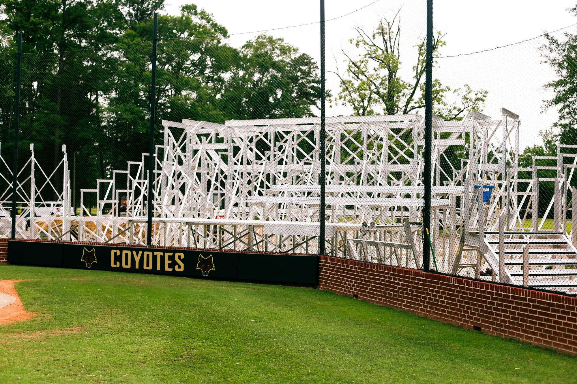 Coyotes Baseball Wins DII ACCC Conference Championship - Coastal ...