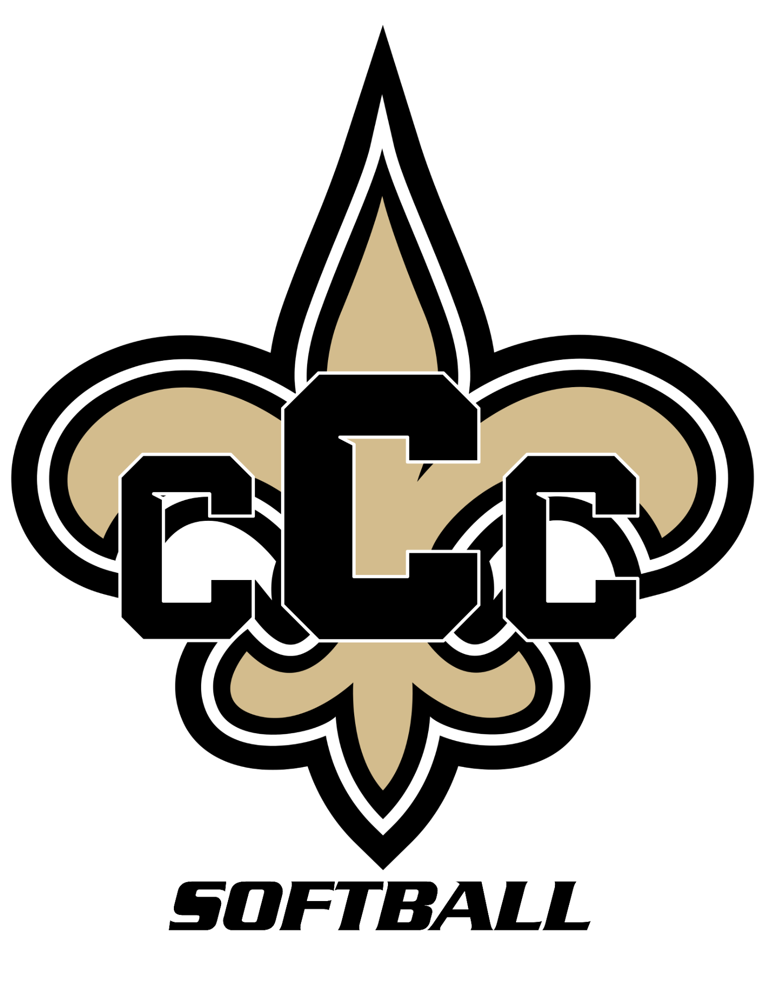 Softball to Host 1st Home Games in Inaugural Season - Community ...