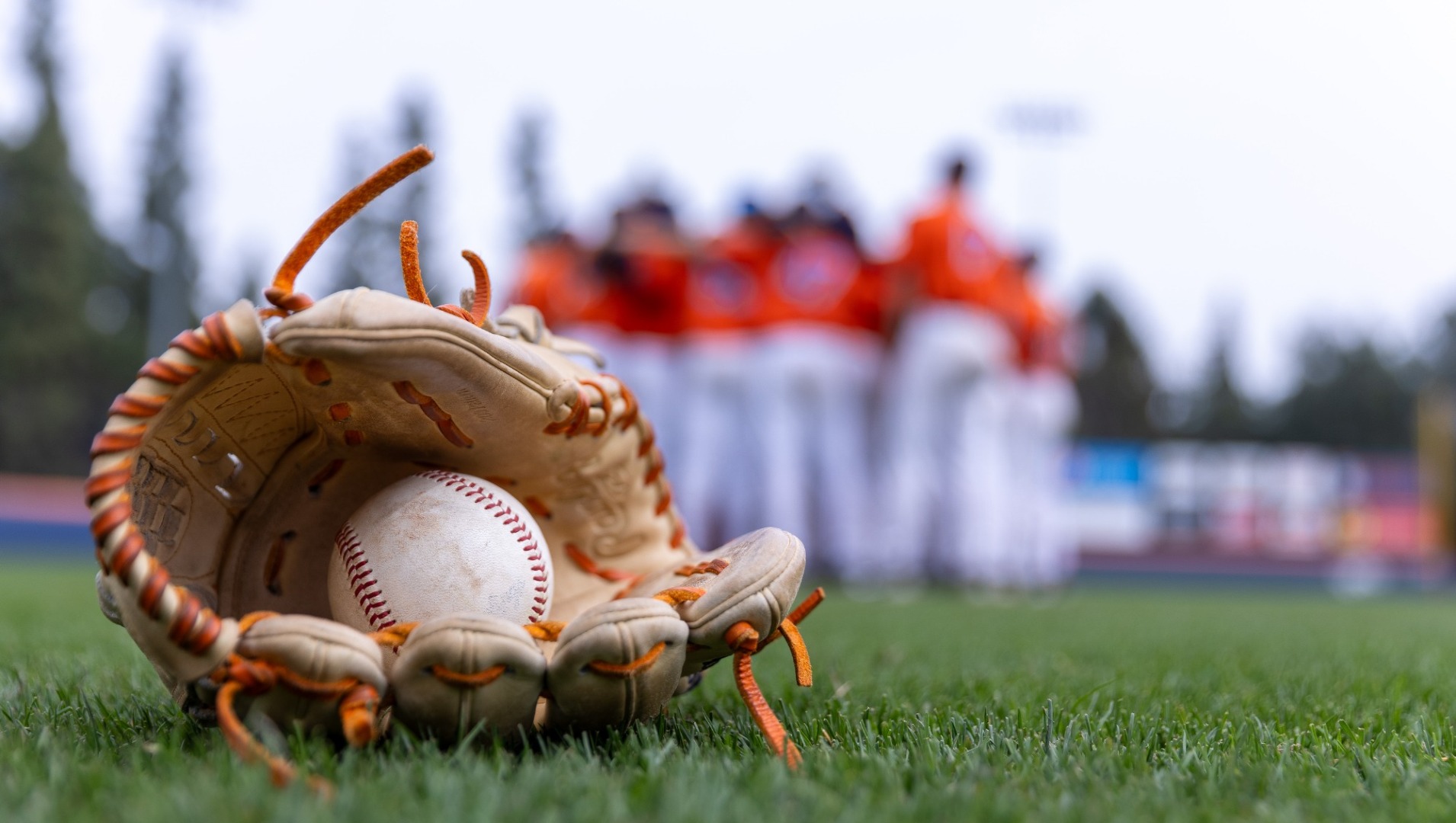 Baseball Adds Six Junior College Signees for the 2025 Season ...